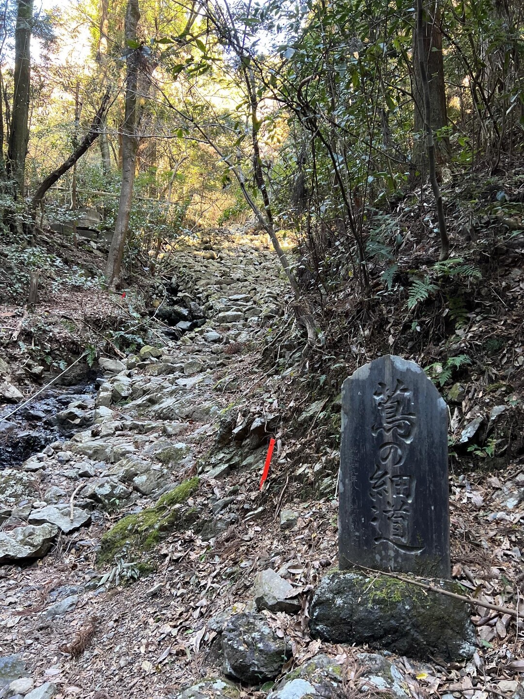 ken-endoさんの投稿したフィールドメモ | YAMAP / ヤマップ