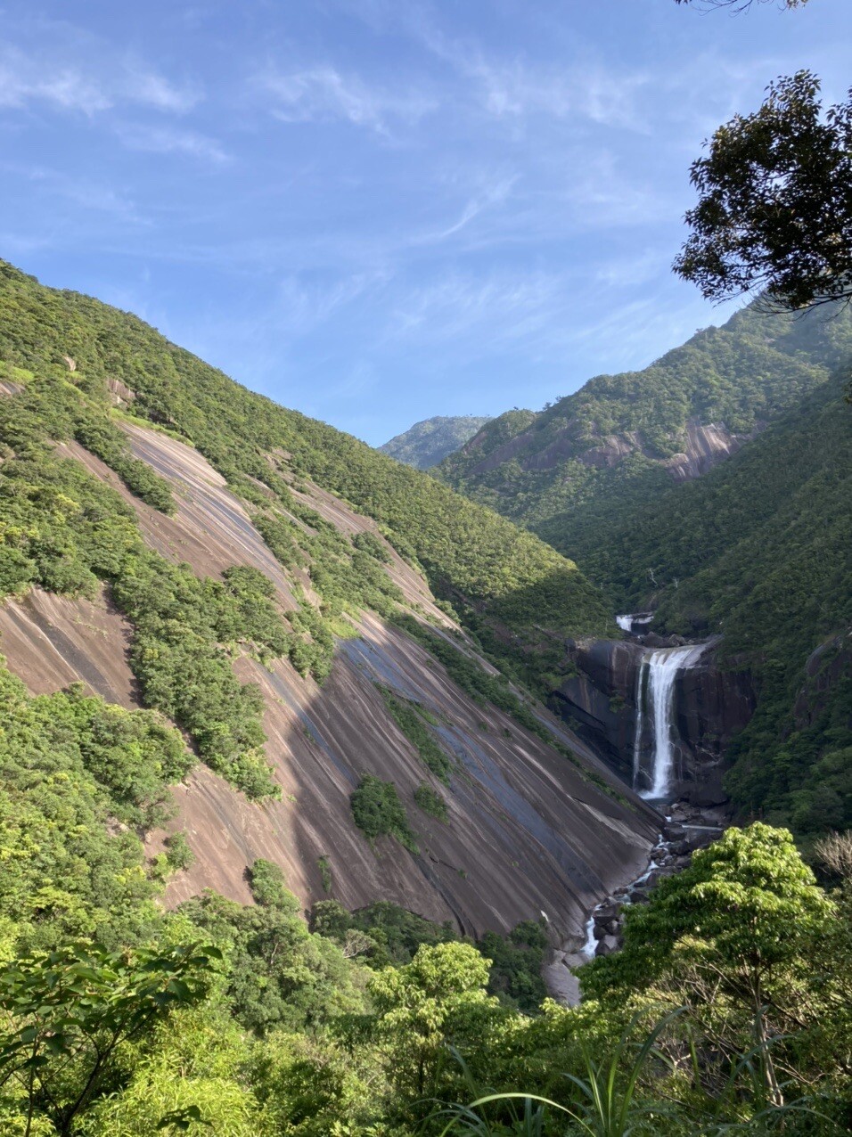 初めての屋久島。思い切って行ってみたけど... / Samさんのモーメント | YAMAP / ヤマップ