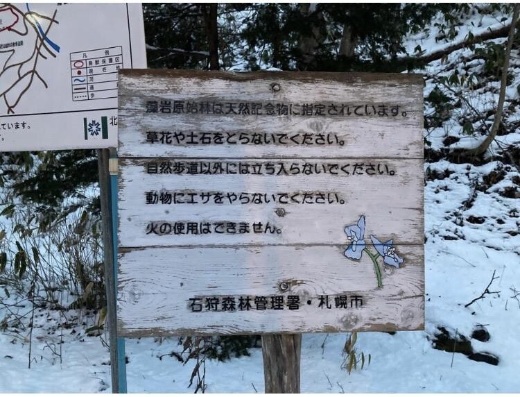 昨日、藻岩山の素敵な尾根を下りました。 ... / 2525さんのモーメント | YAMAP / ヤマップ