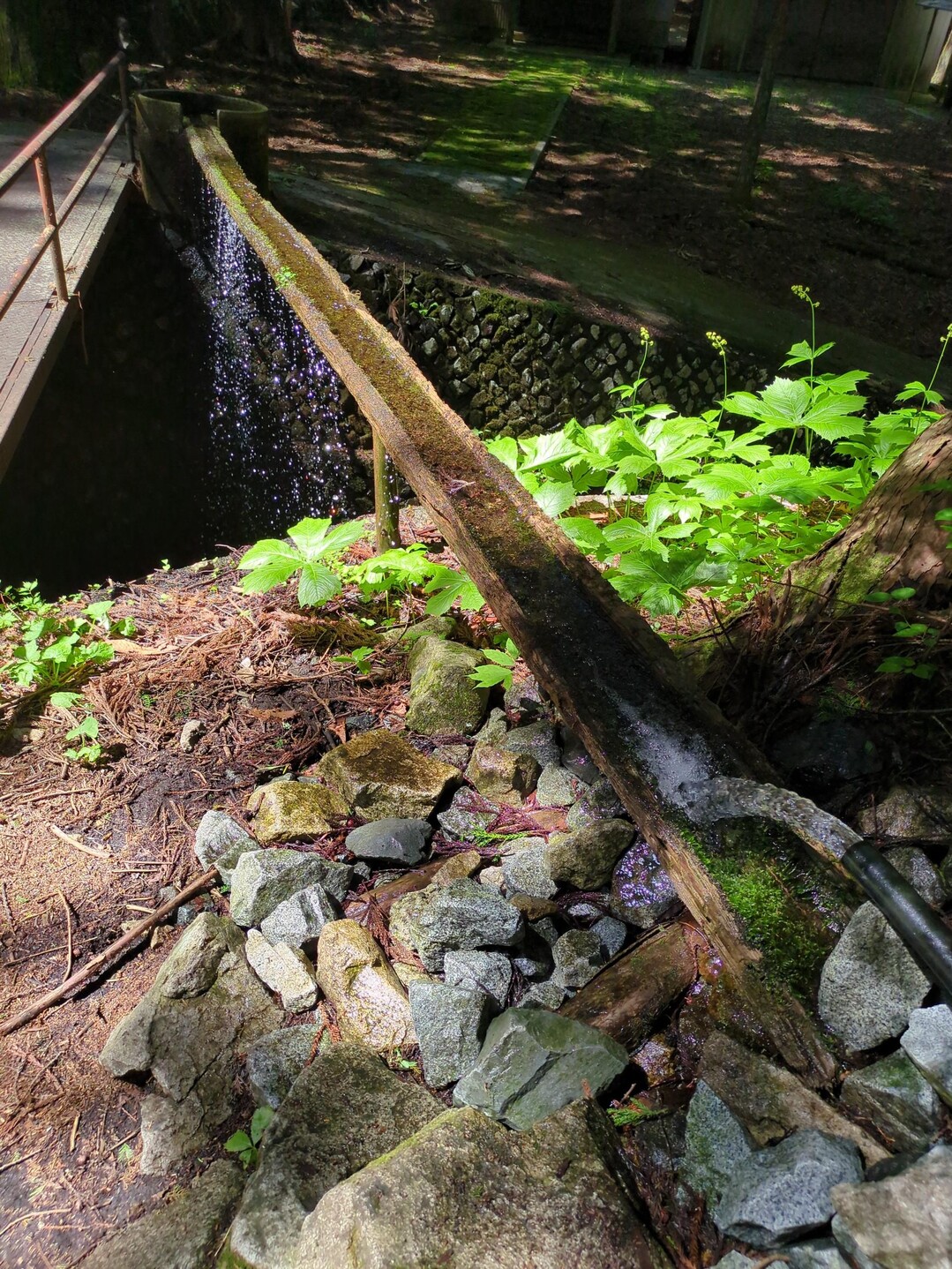 Space Dragonさんの投稿したフィールドメモ | YAMAP / ヤマップ