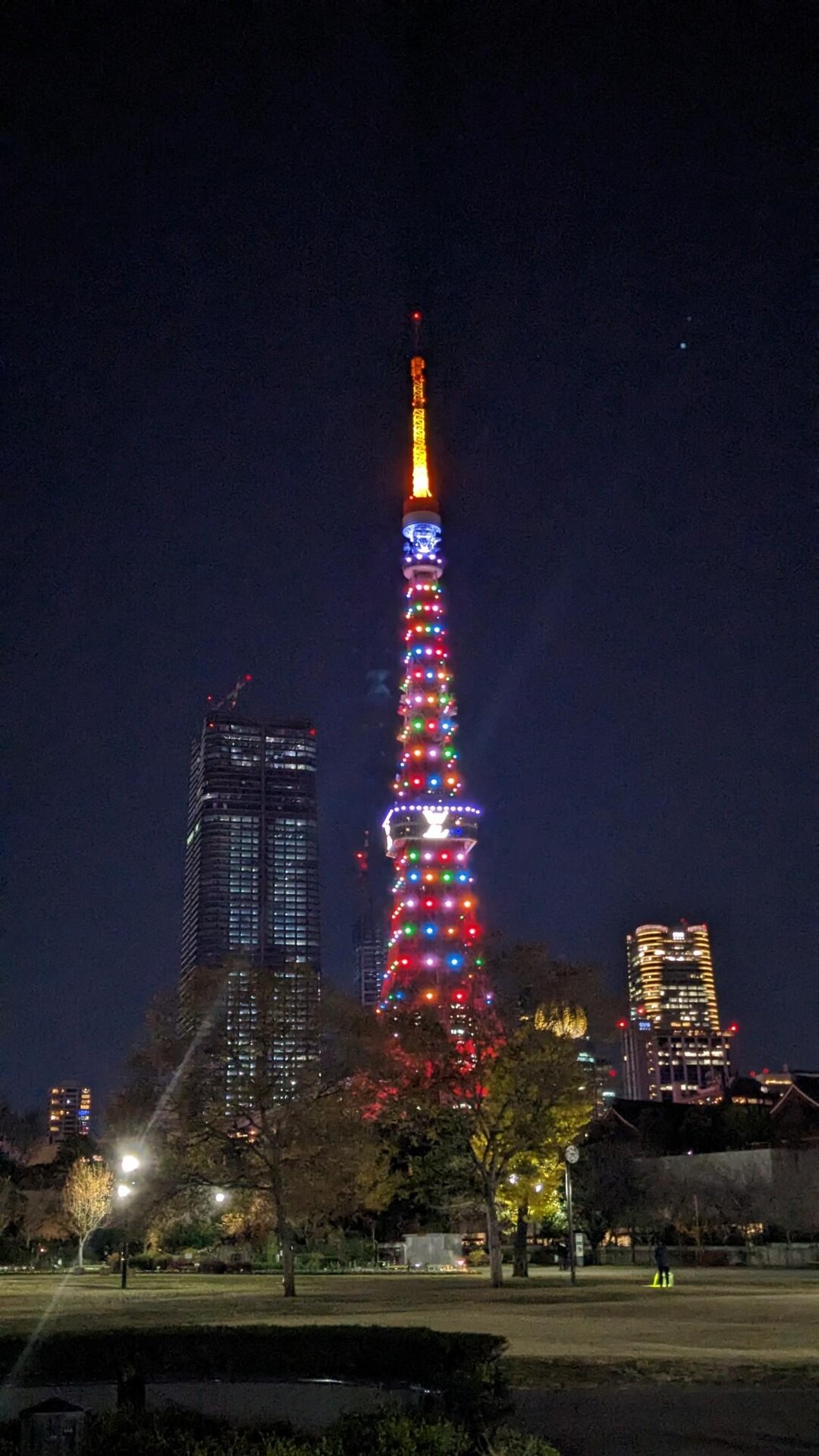 忘年会🍻帰りの東京タワー🗼は、ルイ・... / ☆futa☆さんのモーメント | YAMAP / ヤマップ
