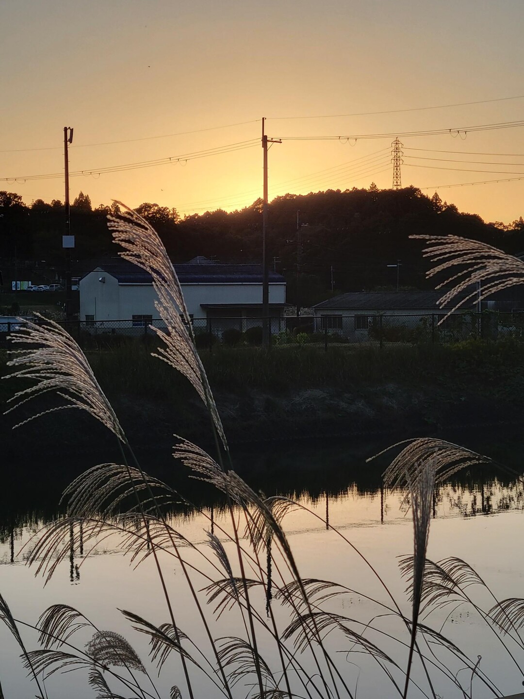 山トレ夕景ラン🏃 / baseさんのランニングの活動データ | YAMAP / ヤマップ