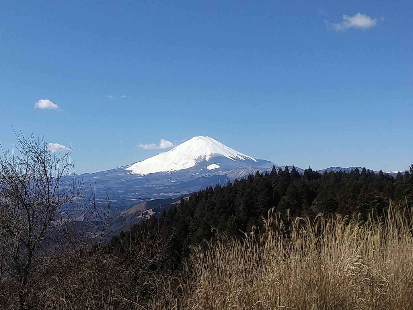 富士山(3776m)とマウナケア(420... / はすすさんのモーメント | YAMAP / ヤマップ