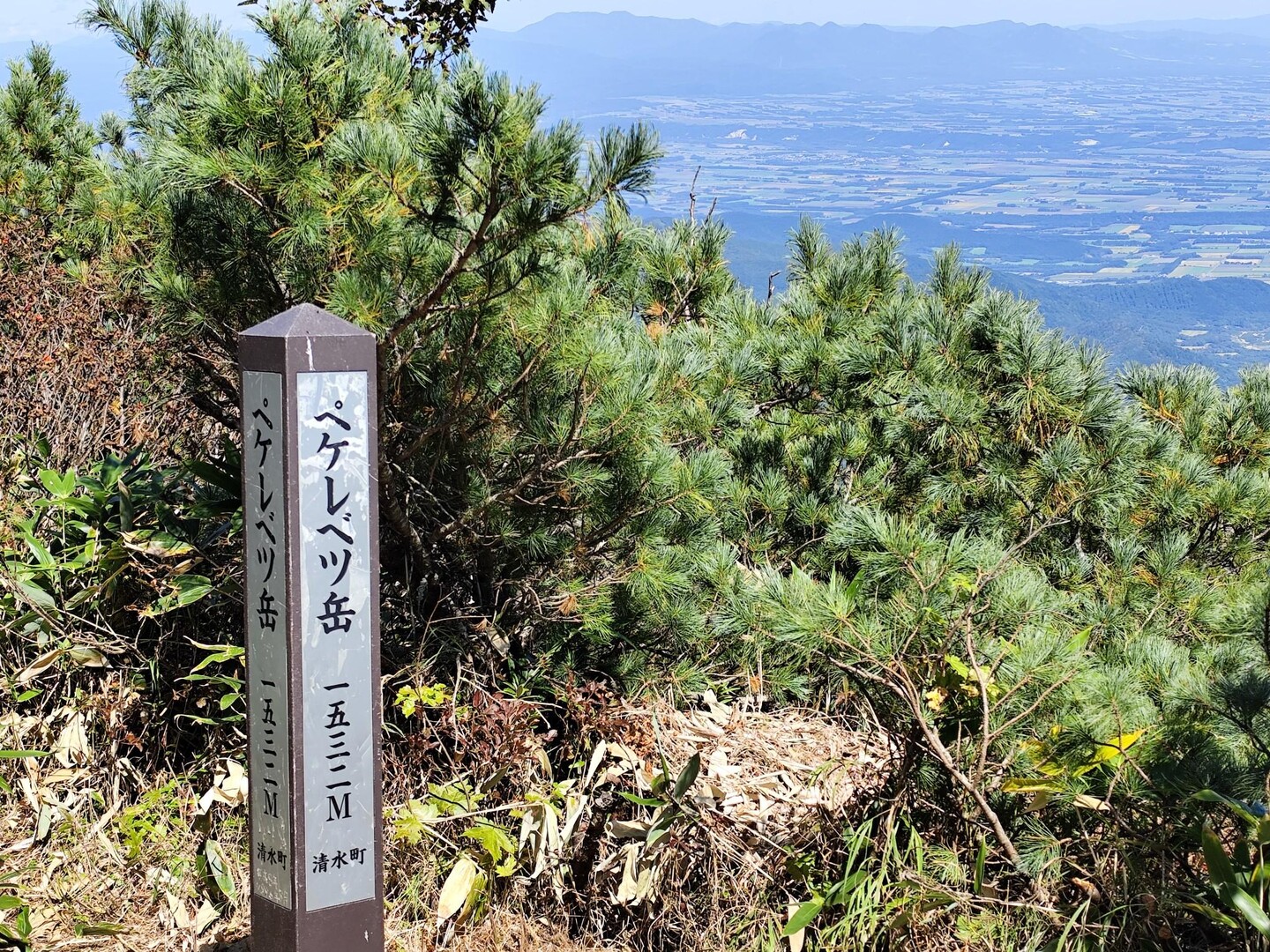 ペケレベツ岳 のんびり登山 / kouさんの芽室岳・久山岳・剣山の活動データ | YAMAP / ヤマップ