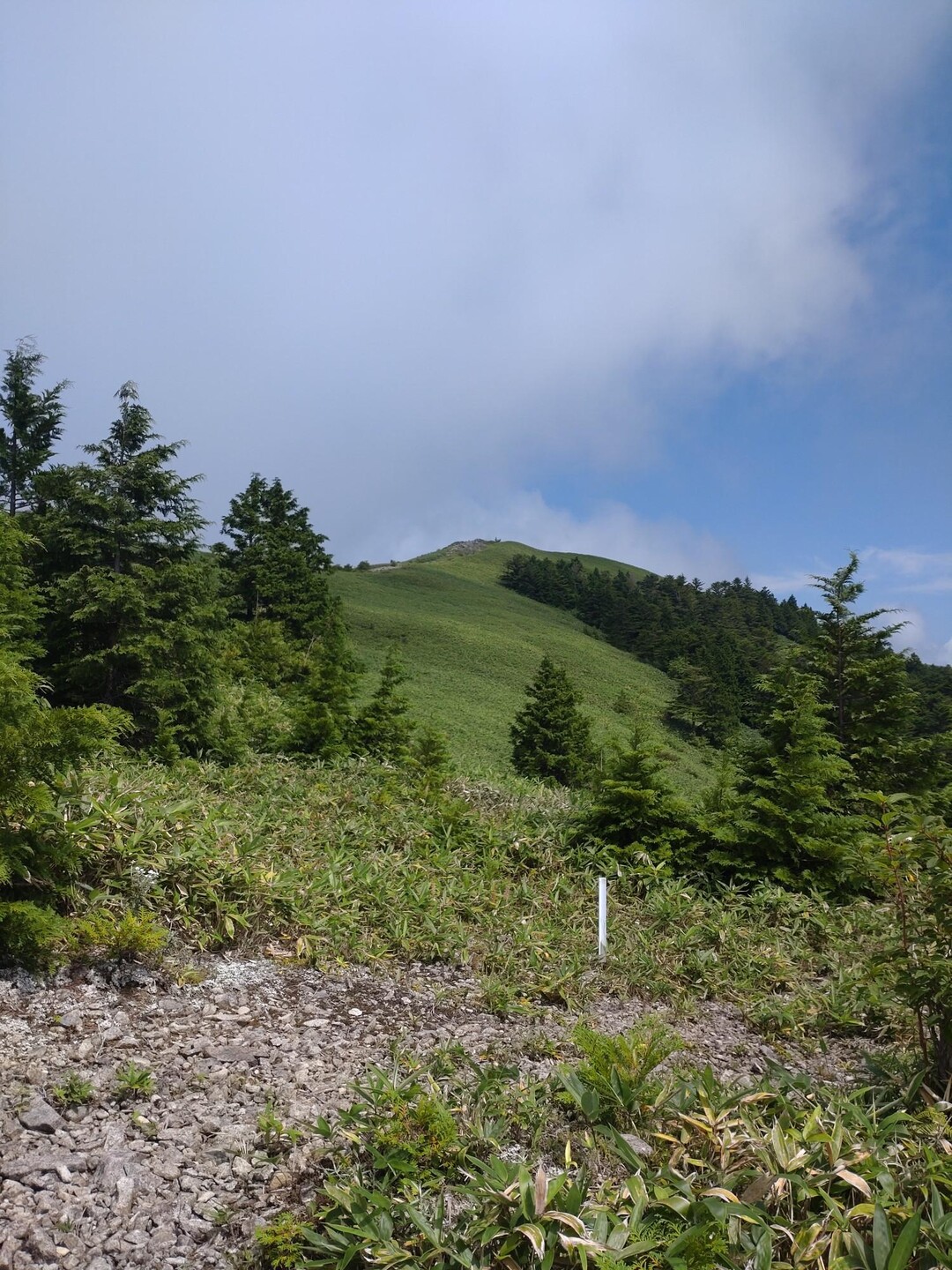 富士見台👧👧👦👦 / potiさんの恵那山・大判山・神坂山の活動データ | YAMAP / ヤマップ