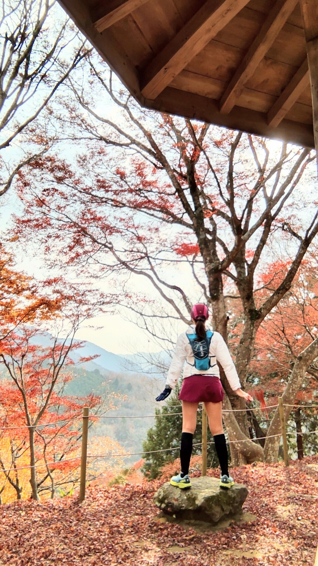 黍生山～飯盛山～香積寺🍁 KFC🍔🎅 / ちかさんの黍生・飯盛山・真弓山の活動データ | YAMAP / ヤマップ