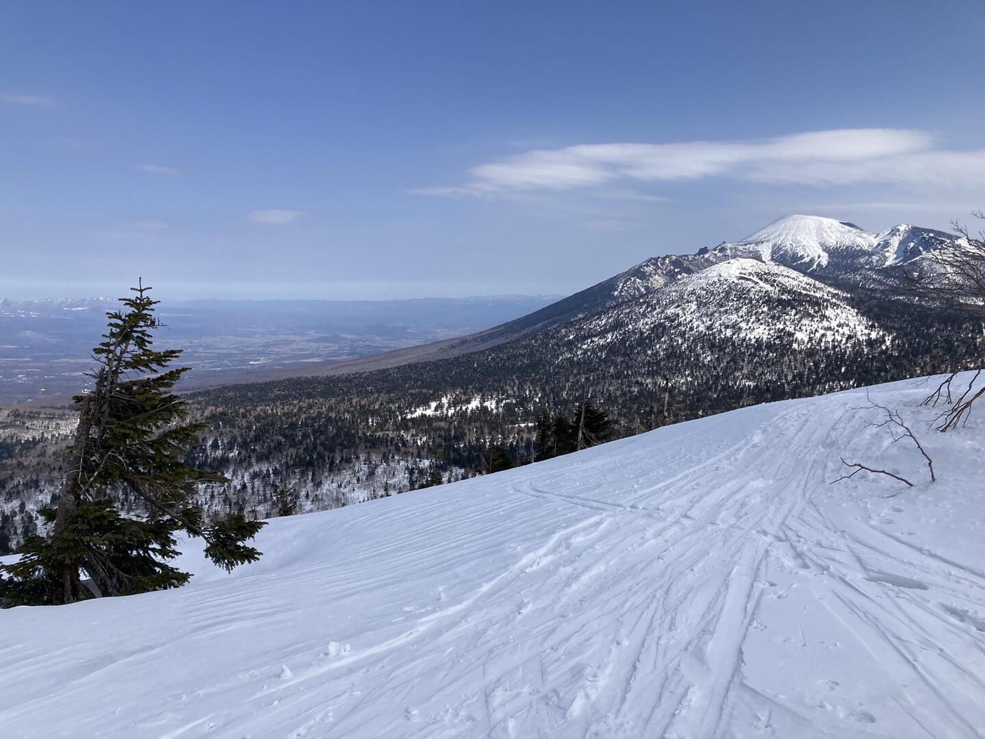 大松倉山 / chanmikiさんの岩手山・黒倉山・鞍掛山の活動日記 | YAMAP / ヤマップ