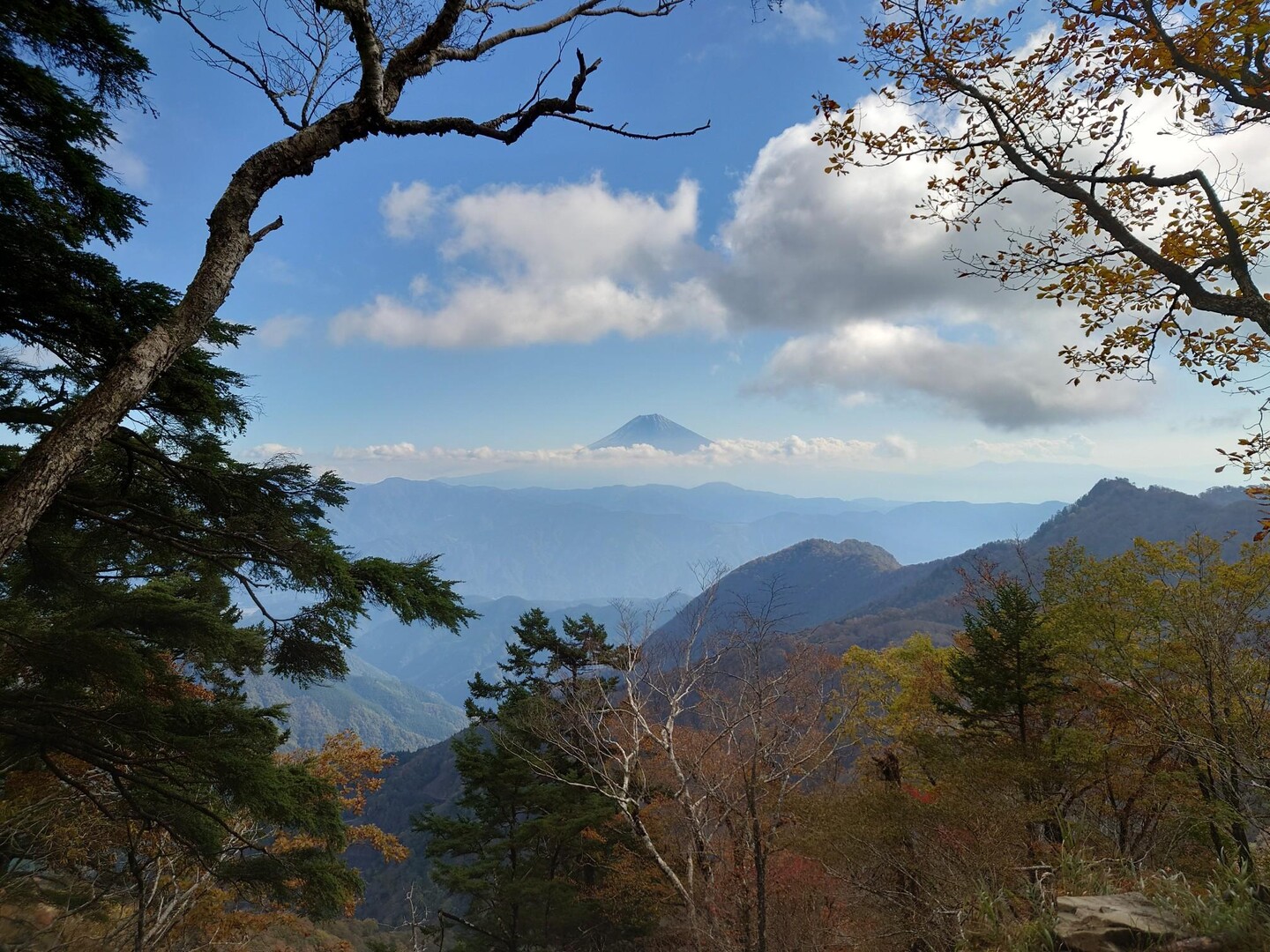 fuji⛰さんの投稿したフィールドメモ | YAMAP / ヤマップ