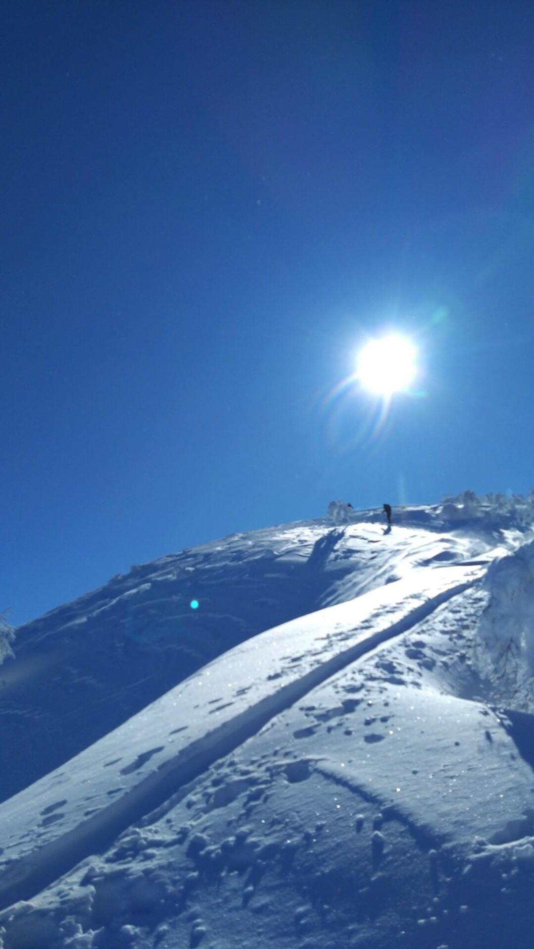 雪の惑星 GENANNPO HECO / skyさんの銀杏峰・部子山の活動データ | YAMAP / ヤマップ