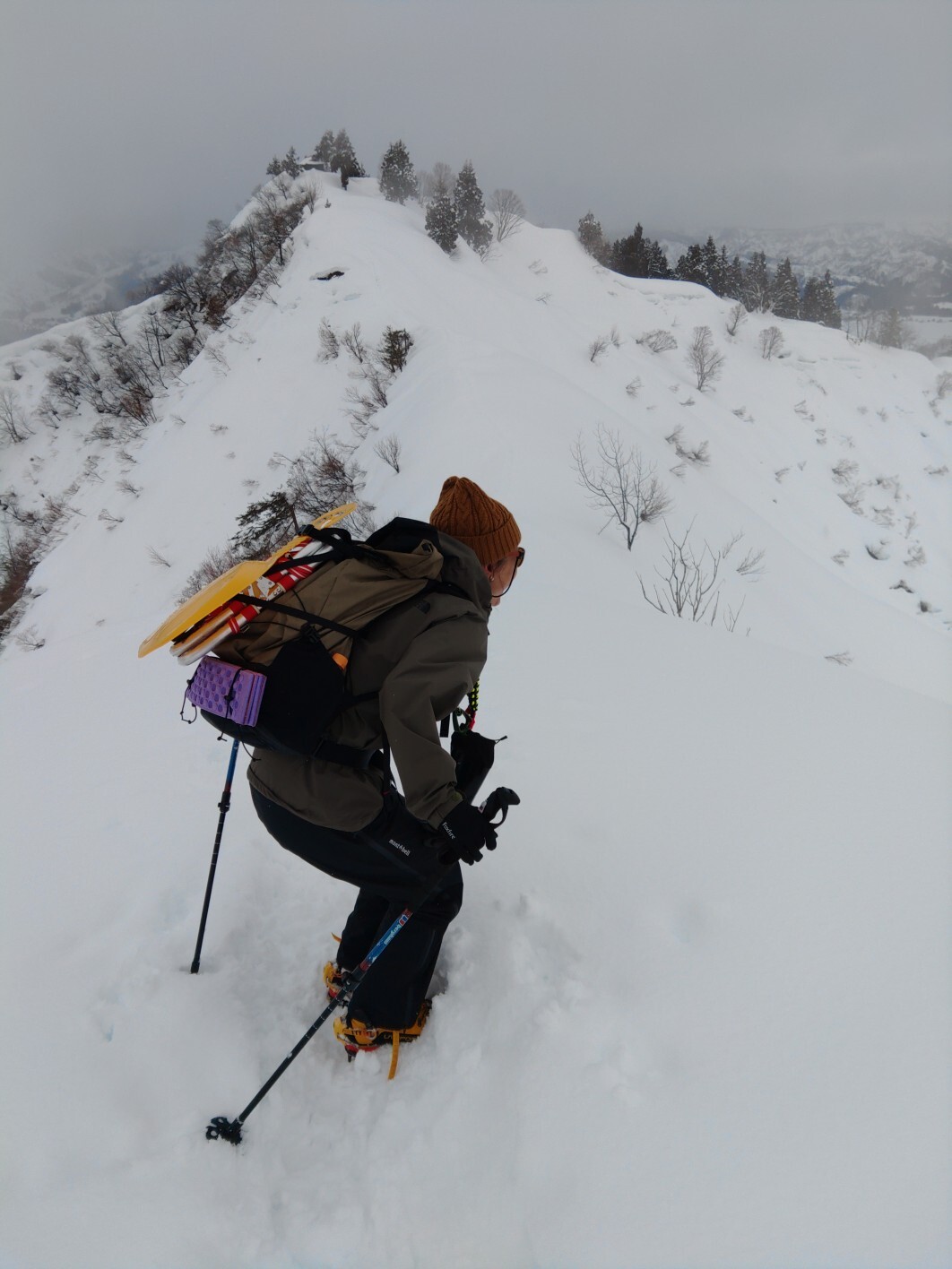魂の叫び🔥😁 IN坂戸山北尾根周回 / daitenさんの坂戸山の活動データ | YAMAP / ヤマップ