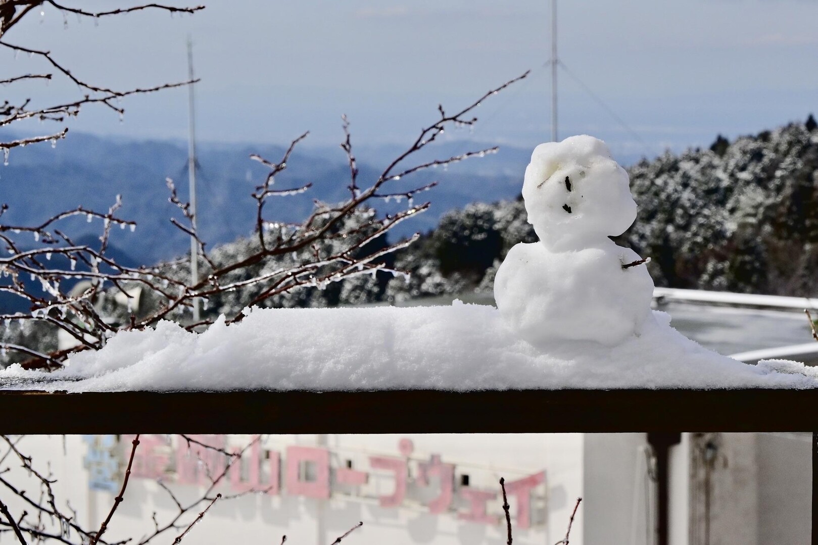 葛木岳・金剛山 / hikaさんの葛城修験エリアマップ（金剛山周辺）の活動データ | YAMAP / ヤマップ