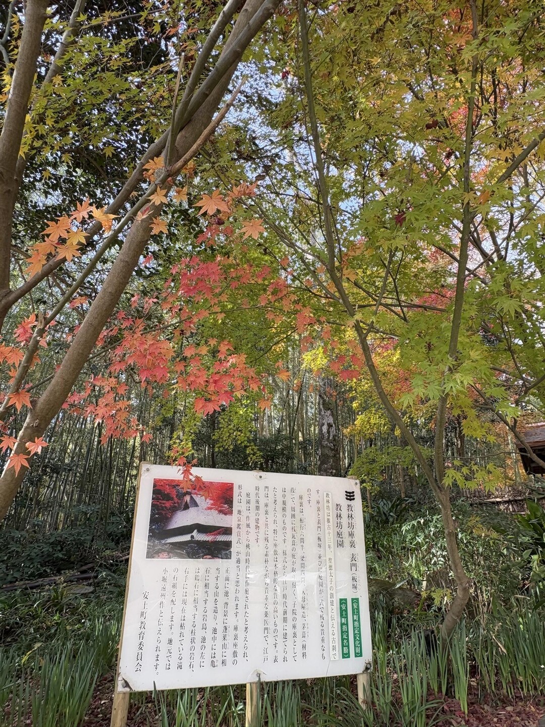 ギリギリ間に合った教林坊の紅葉🍁 / ヒーコさんのモーメント | YAMAP / ヤマップ