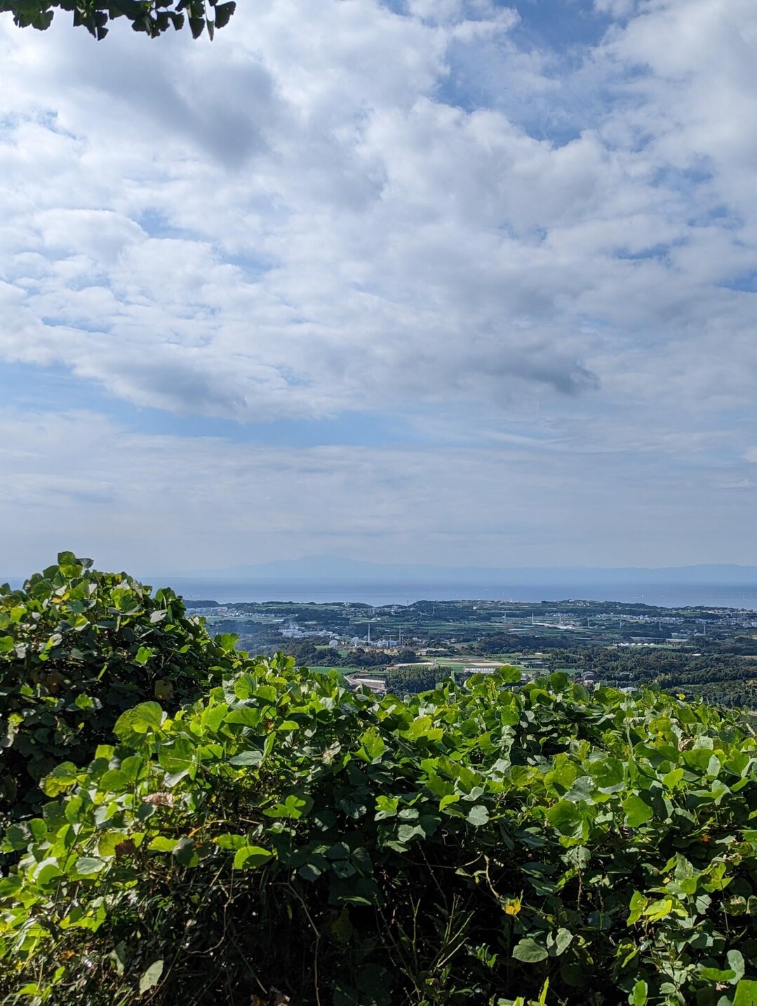 富士山（三浦富士）・砲台山・武山 / emさんの大楠山・武山・三浦富士の活動データ | YAMAP / ヤマップ