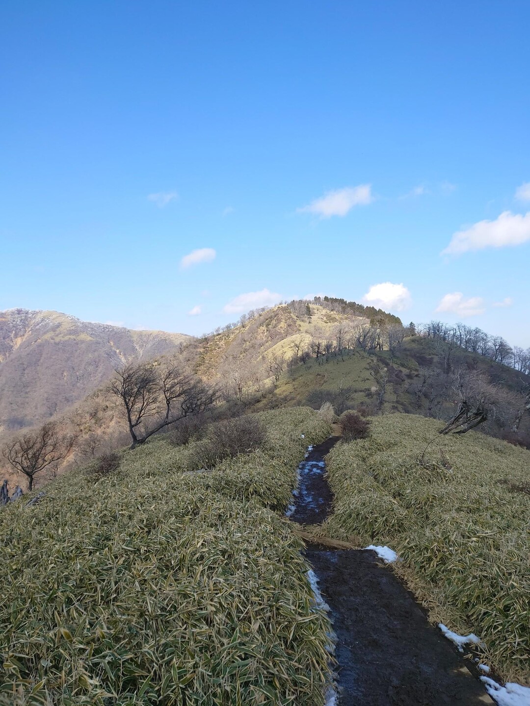 丹沢山 蓑毛〜丹沢山〜大倉 / DRさんの丹沢山の活動データ | YAMAP / ヤマップ