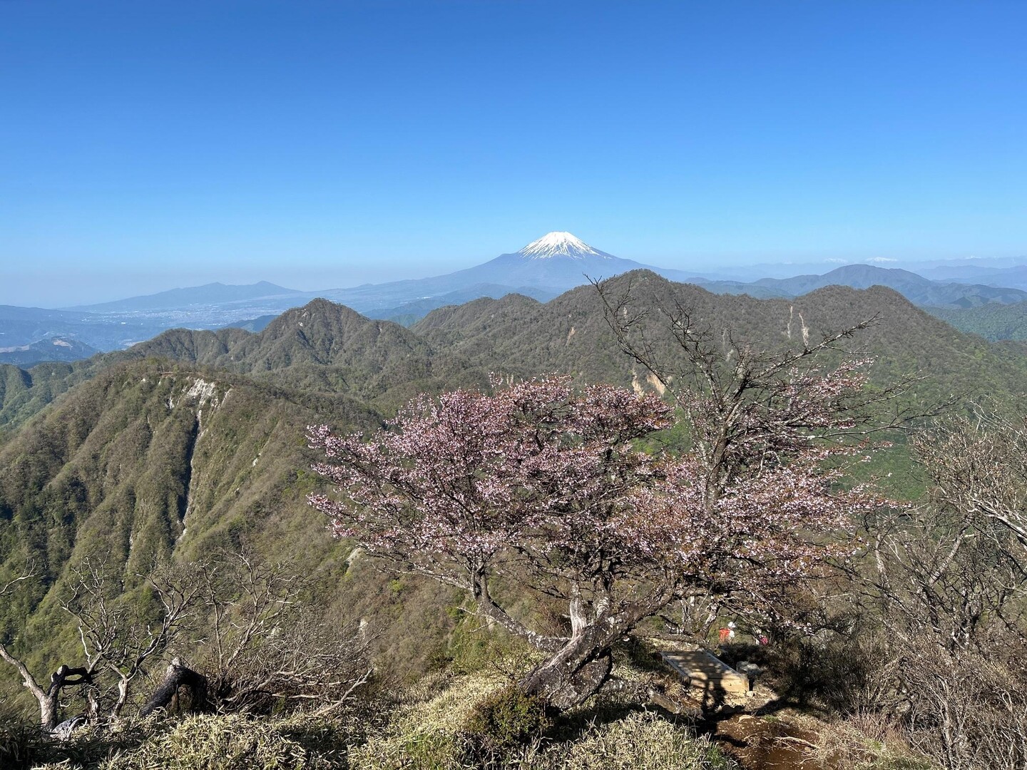 丹沢山 ヤビツ峠〜西丹沢VC / Tak Yamashitaさんの塔ノ岳・丹沢山・蛭ヶ岳の活動データ | YAMAP / ヤマップ