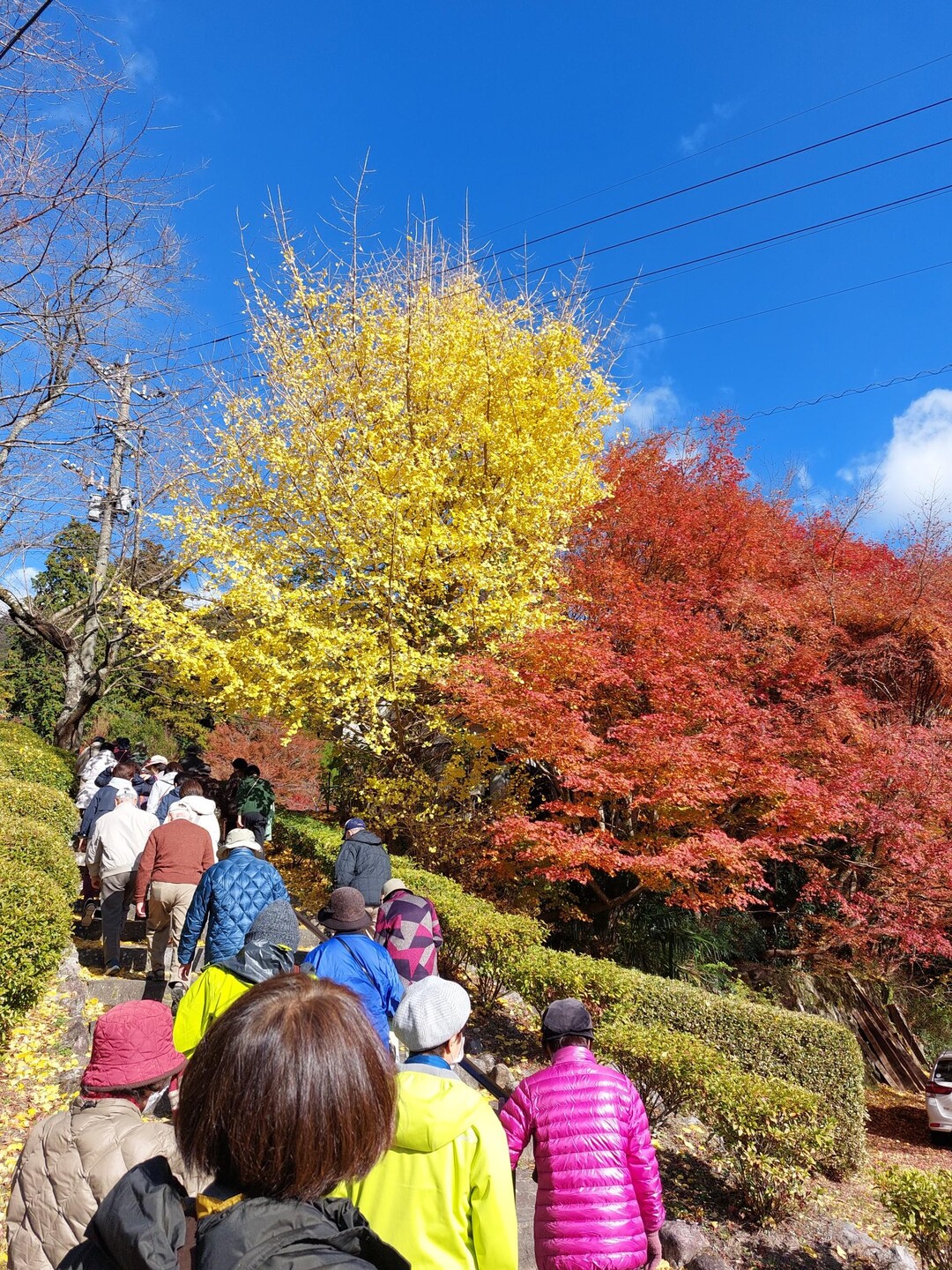 国東半島六郷満山お寺巡り / きしみさんの六郷満山（国東半島）の活動データ | YAMAP / ヤマップ