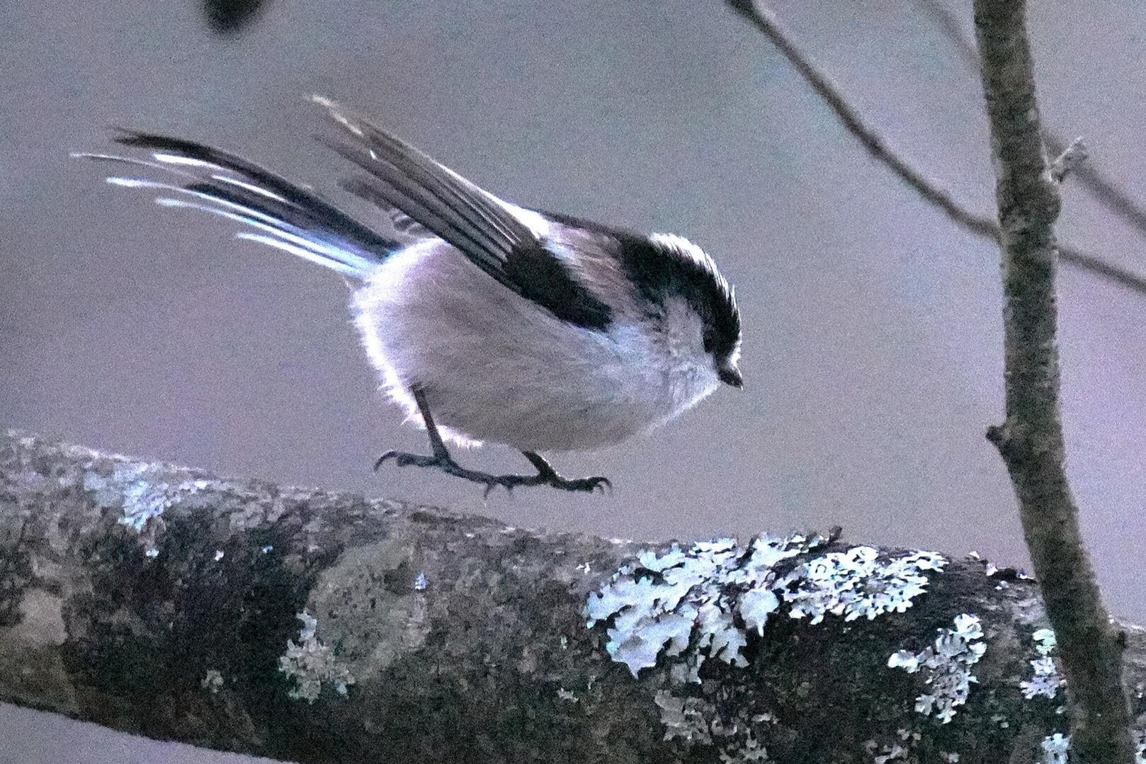 2025/1/4甲府市荒川ダムと武田の杜... / uchidamaさんのモーメント | YAMAP / ヤマップ