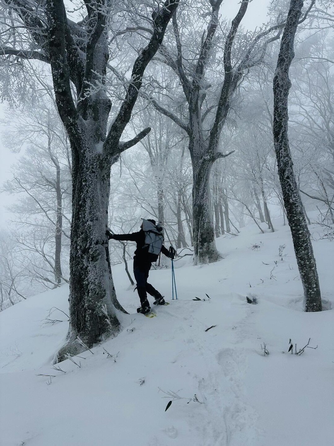 Snow Season Start ️赤谷山 / Ronさんの赤谷山の活動データ | YAMAP / ヤマップ