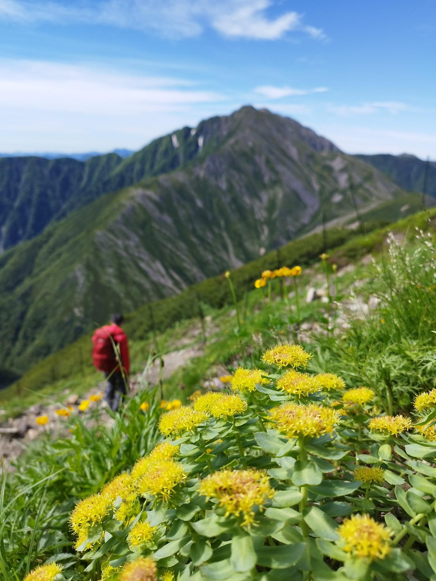 TJAR聖地巡礼 赤石・悪沢岳周回 / manta🍀さんの荒川岳・東岳（悪沢岳）・前岳・中岳・赤石岳の活動データ | YAMAP / ヤマップ
