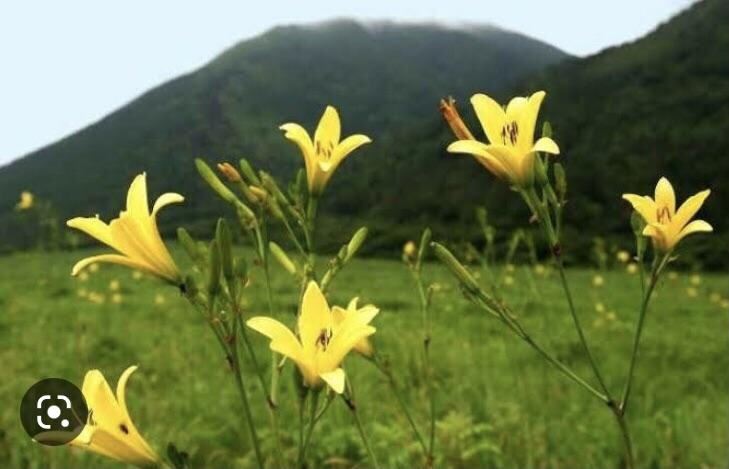 ユウスゲ7のページ | YAMAP / ヤマップ