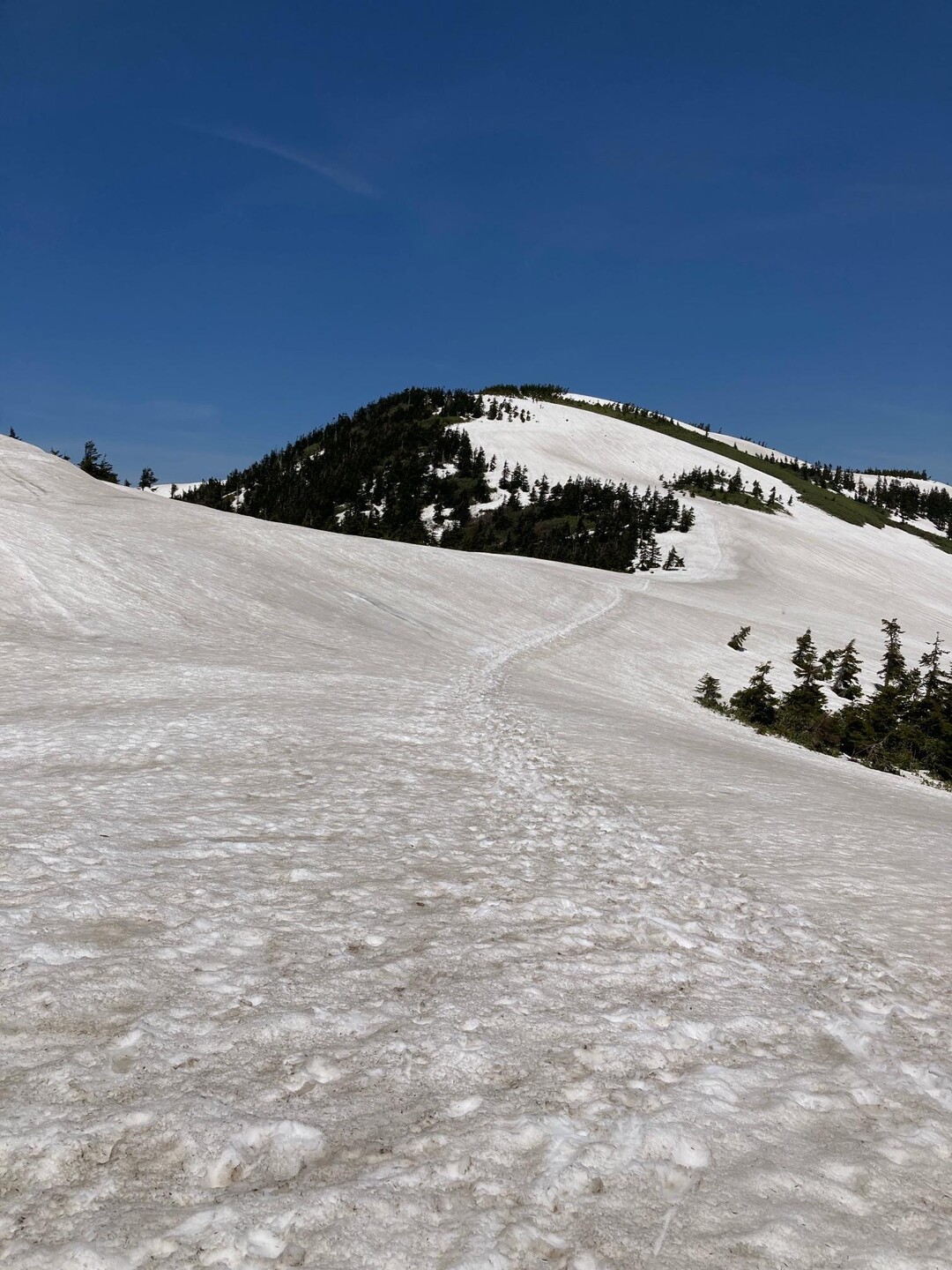 新緑☘️と残雪 ️の会津駒ヶ岳 / Mayuさんの会津駒ヶ岳の活動データ | YAMAP / ヤマップ