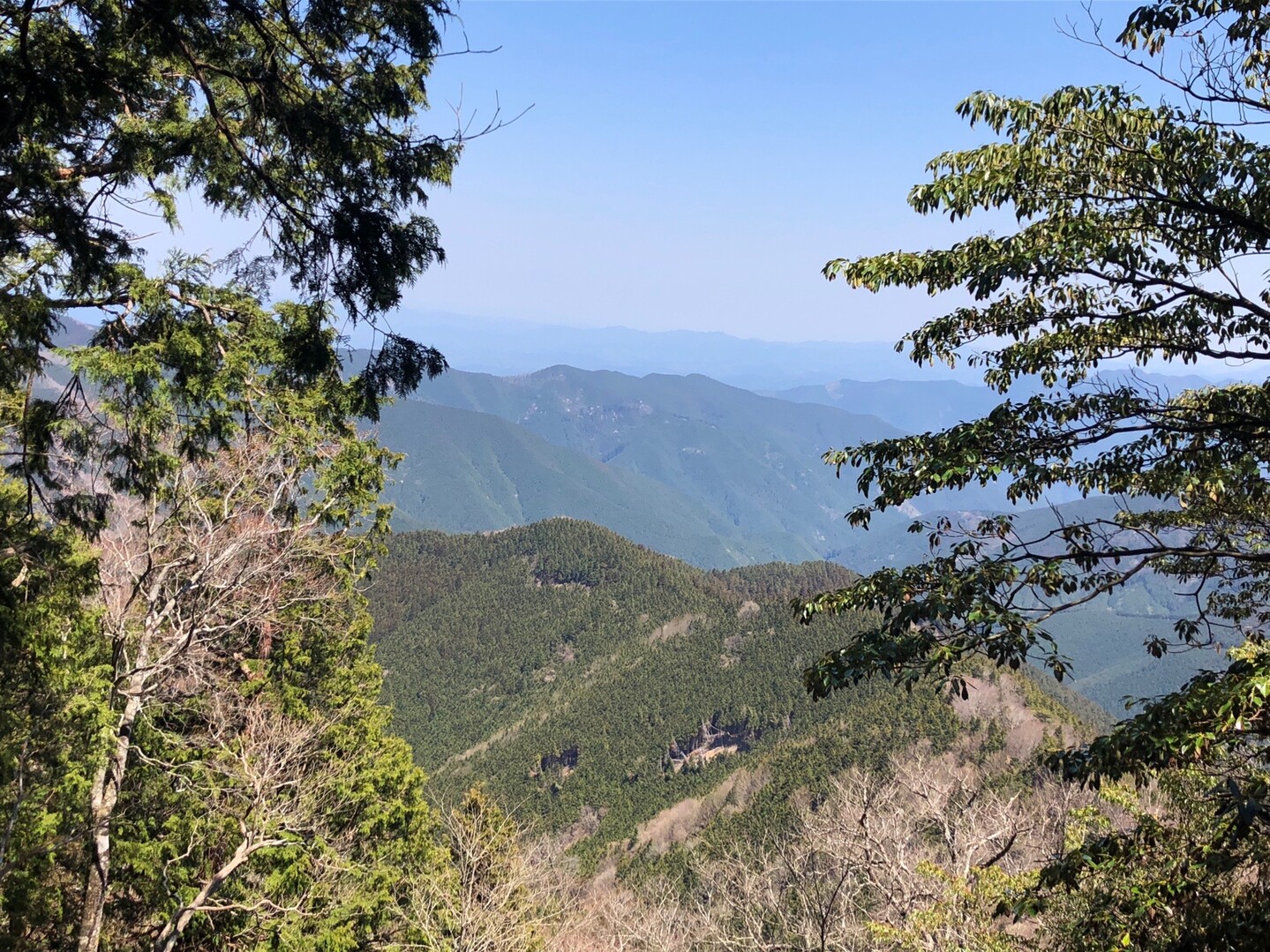 大天井そして小天井 / Zak-Sanさんの観音峯山・大普賢岳・山上ヶ岳・稲村ヶ岳の活動データ | YAMAP / ヤマップ