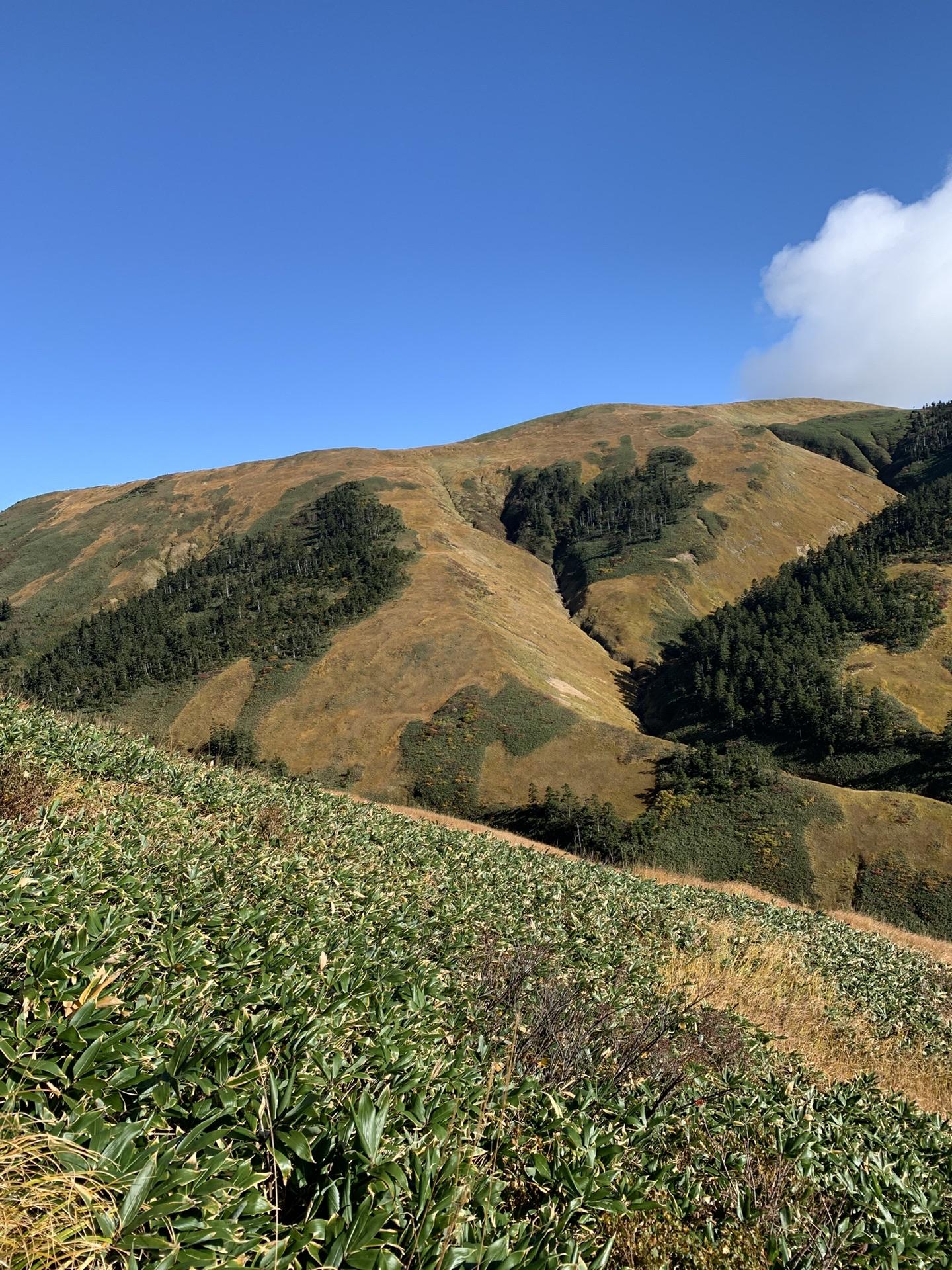 巻機山 / TKSNDさんの巻機山・割引岳・金城山の活動日記 | YAMAP / ヤマップ