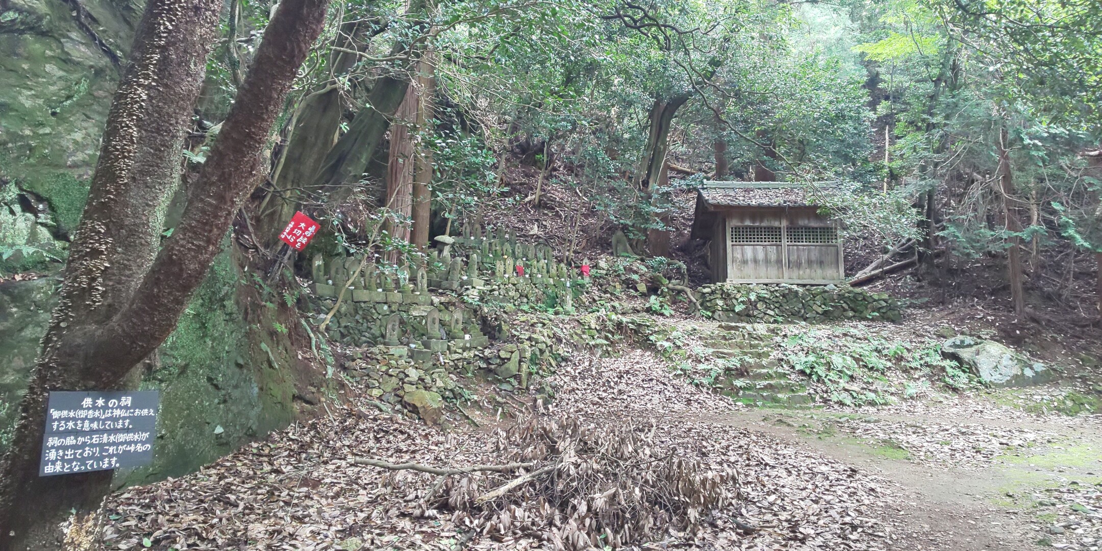 日野岳 ロープワークの練習場を求めて / satohさんの音羽山・醍醐山の活動データ | YAMAP / ヤマップ