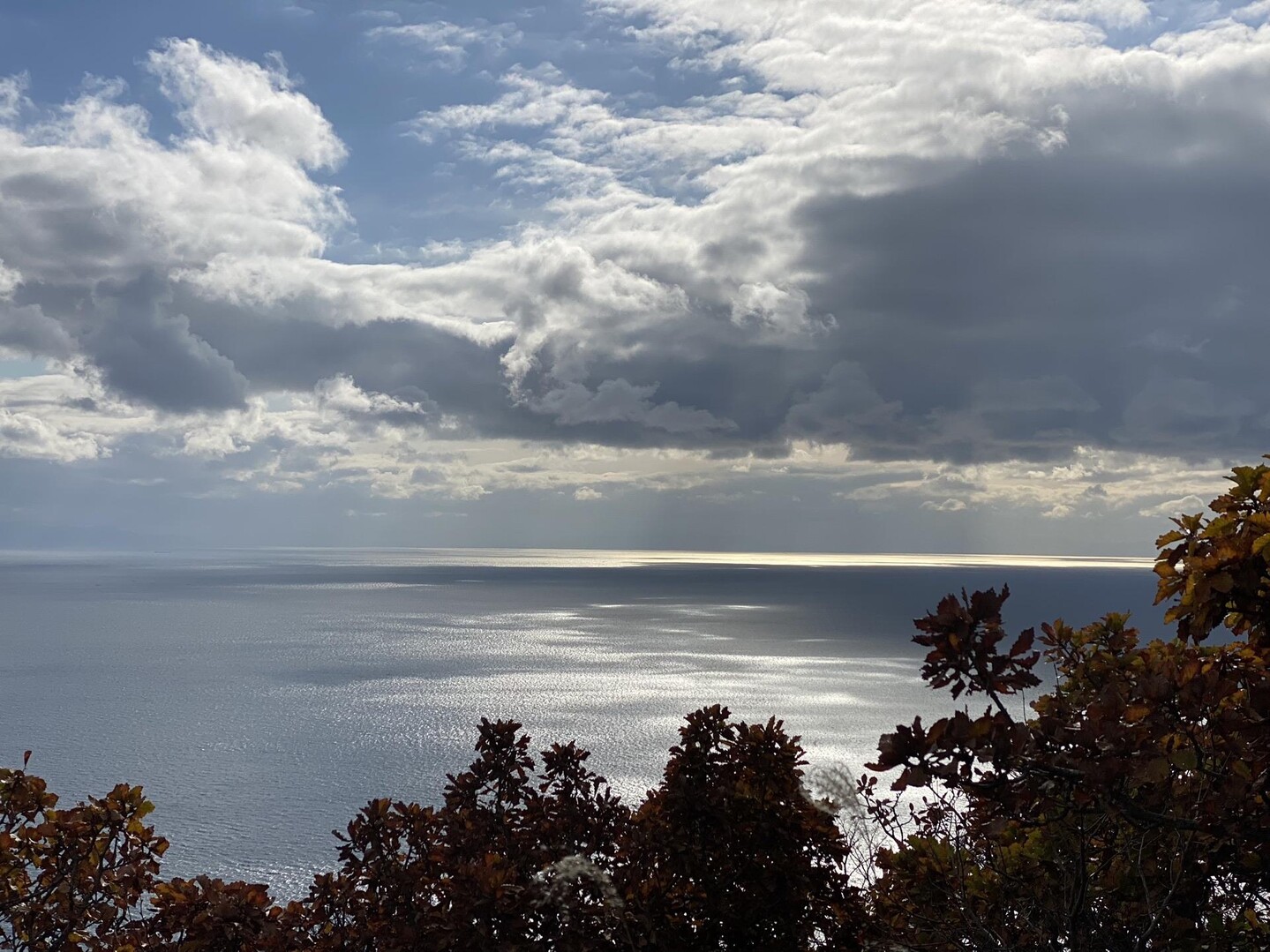 始まりの函館山🍁 / ma-koさんの函館山の活動データ | YAMAP / ヤマップ