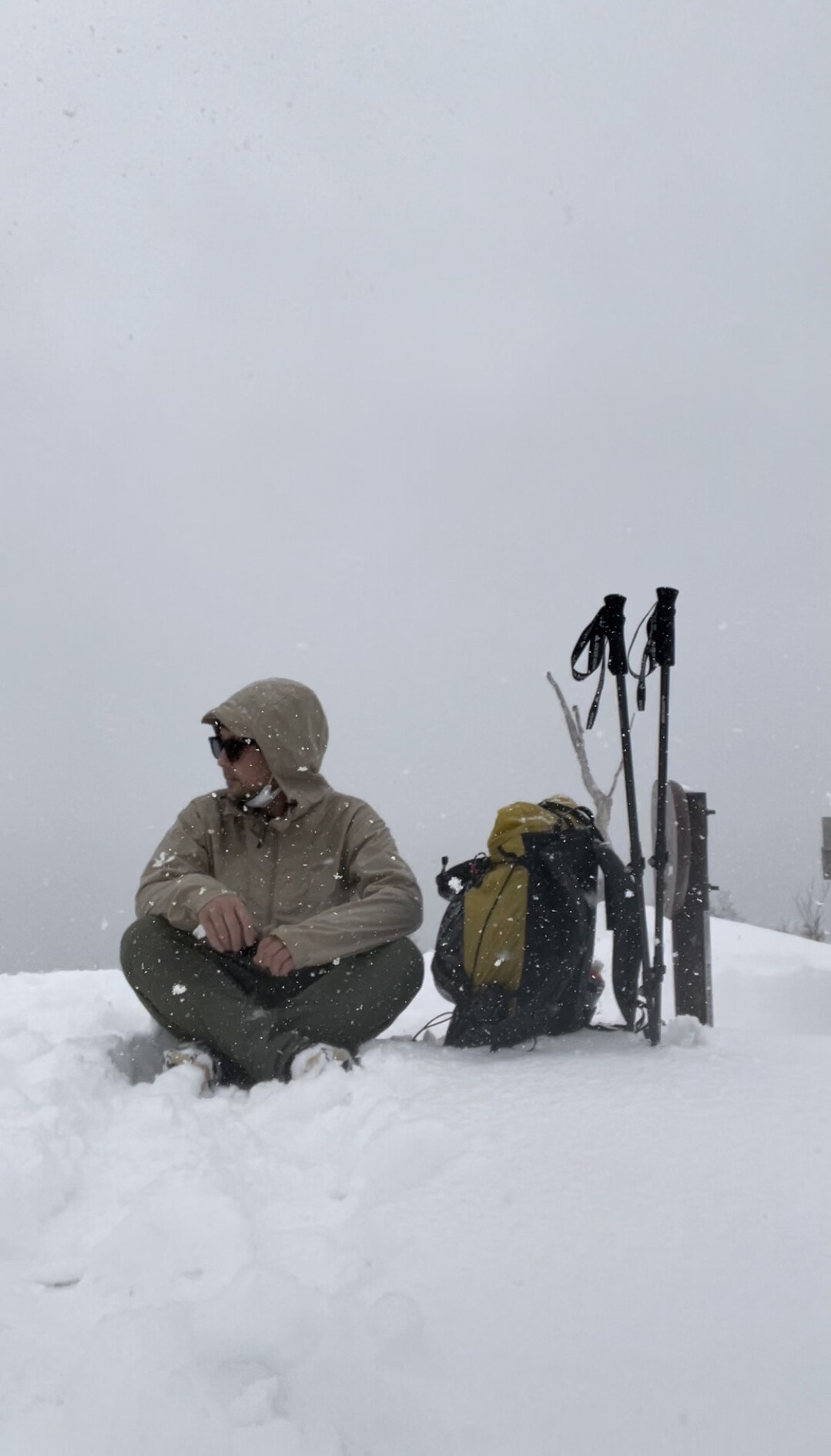 高賀山 カモシカと会う / NNNRさんの高賀山・瓢ヶ岳・片知山の活動日記 | YAMAP / ヤマップ