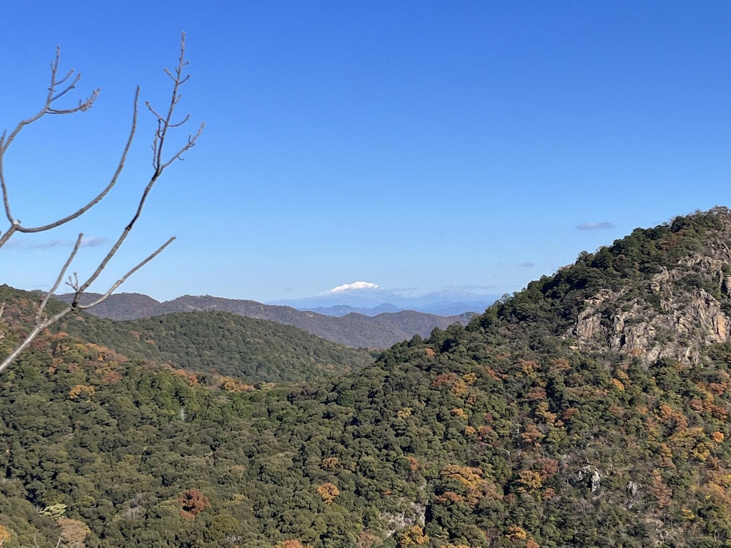 昼休み散歩 / yuki yamaさんの金華山・洞山・舟伏山の活動データ | YAMAP / ヤマップ