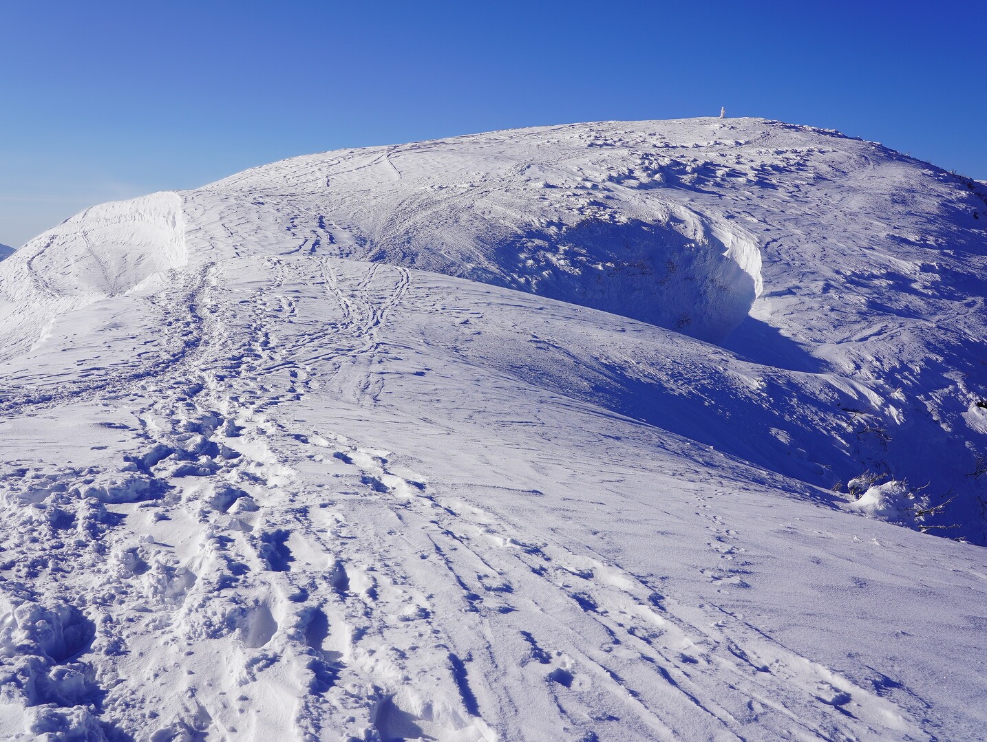 進撃の夫人 / こおひい㊧さんの銀杏峰・部子山の活動データ | YAMAP / ヤマップ