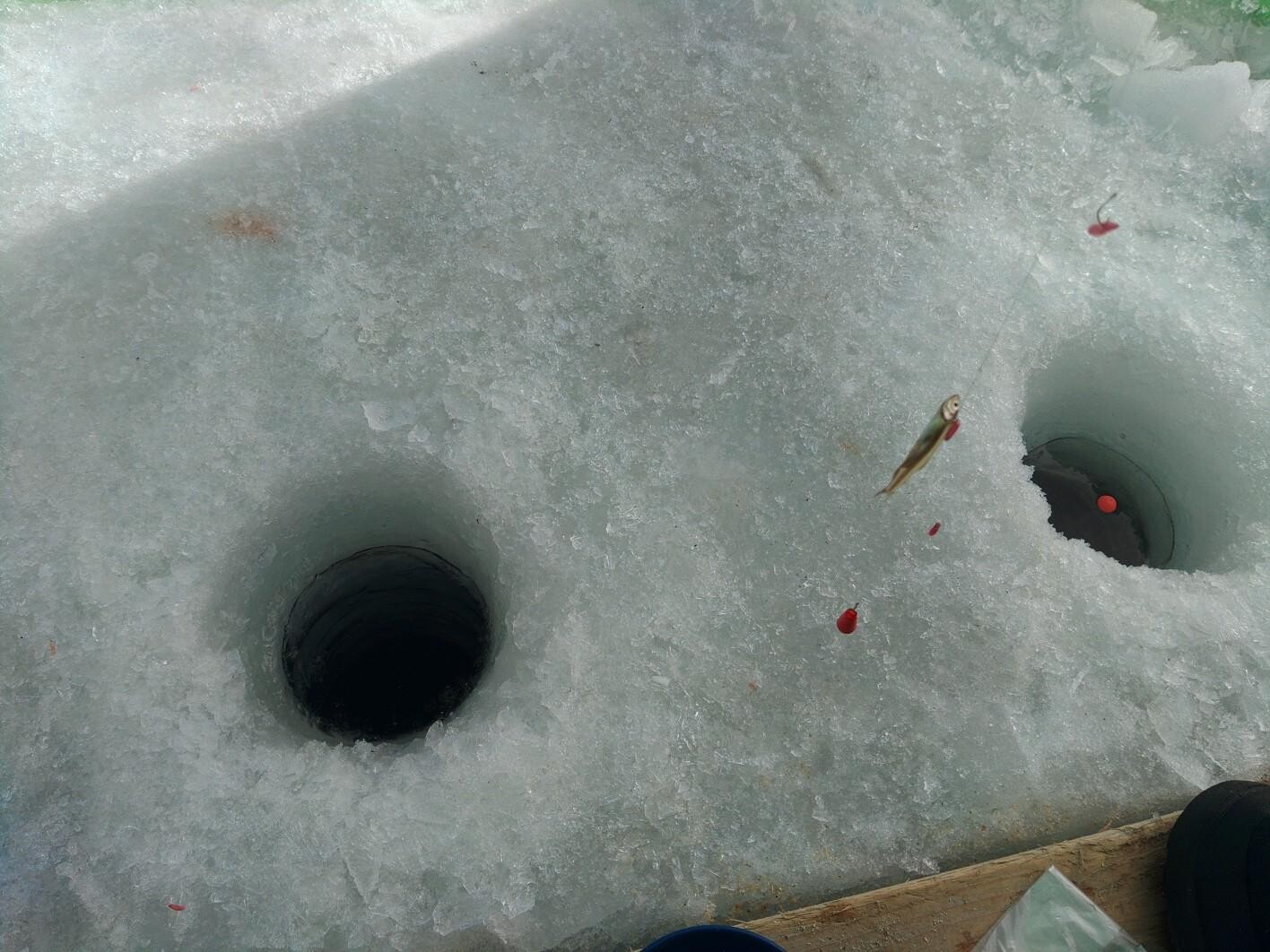 本日は久しぶりにkazueさんと活動😆... / りんさんのモーメント | YAMAP / ヤマップ