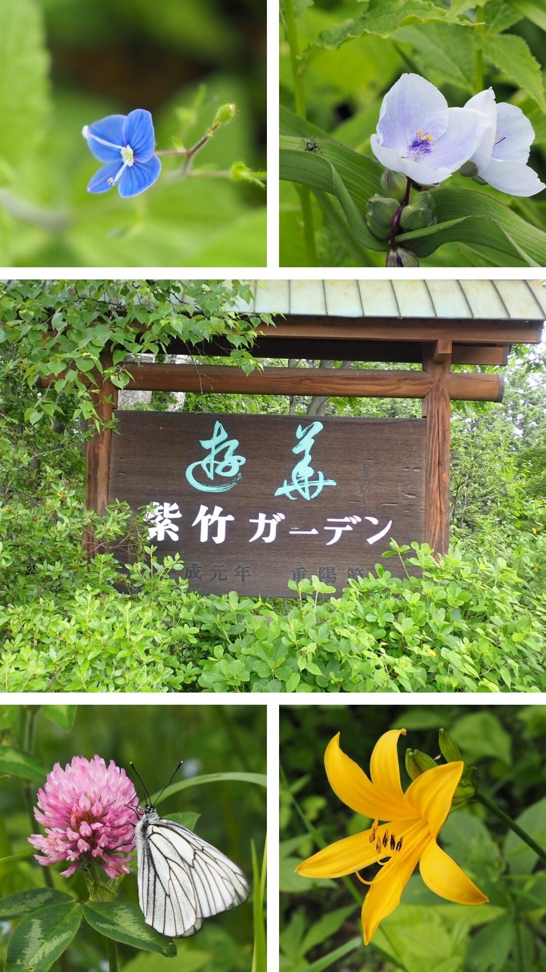 旅の終わりは柴竹ガーデン、数年前にオーナ... / BINcyanさんのモーメント | YAMAP / ヤマップ