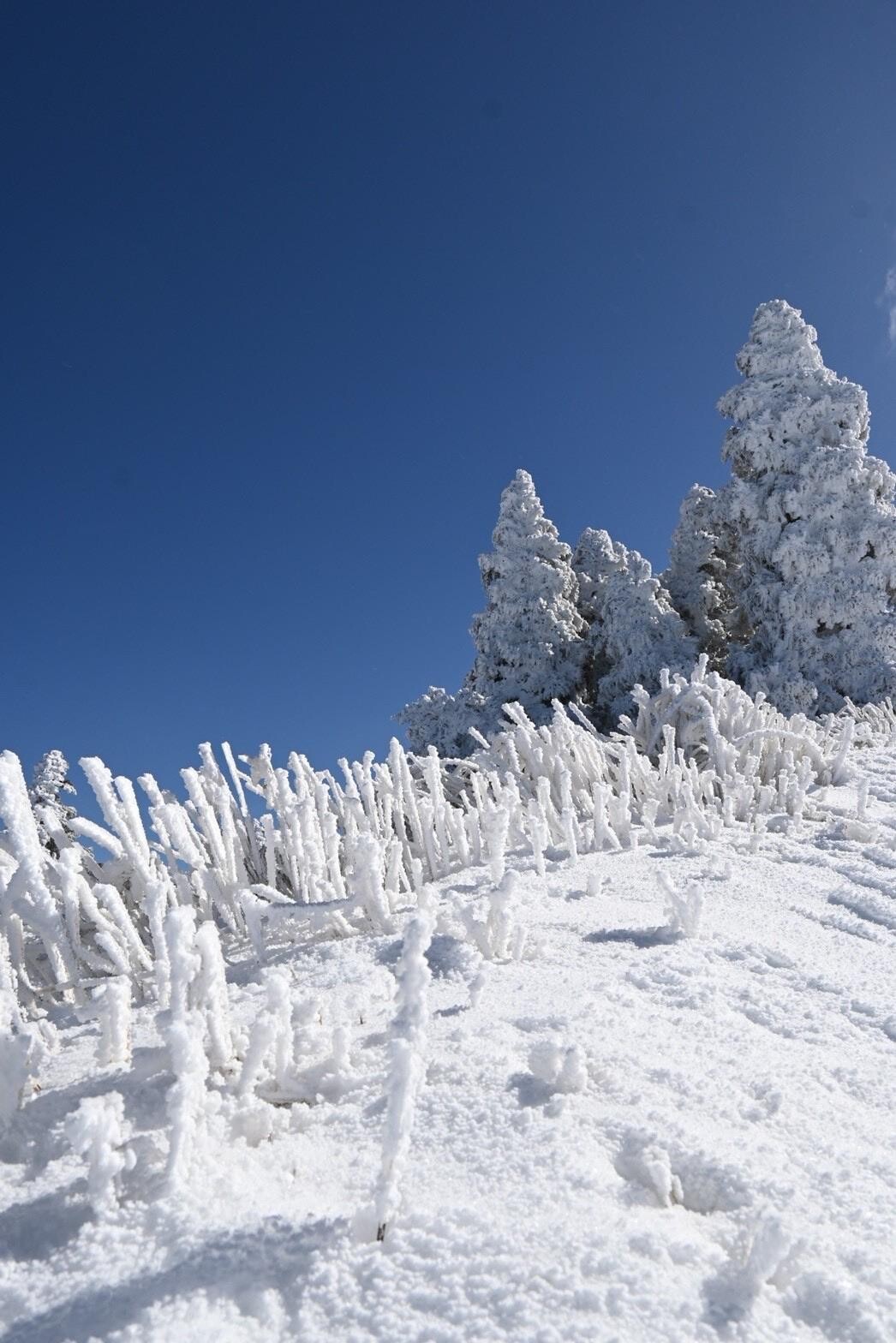 南沢山・横川山（湯舟沢山）・富士見台 / KIYOさんの恵那山・大判山・神坂山の活動データ | YAMAP / ヤマップ