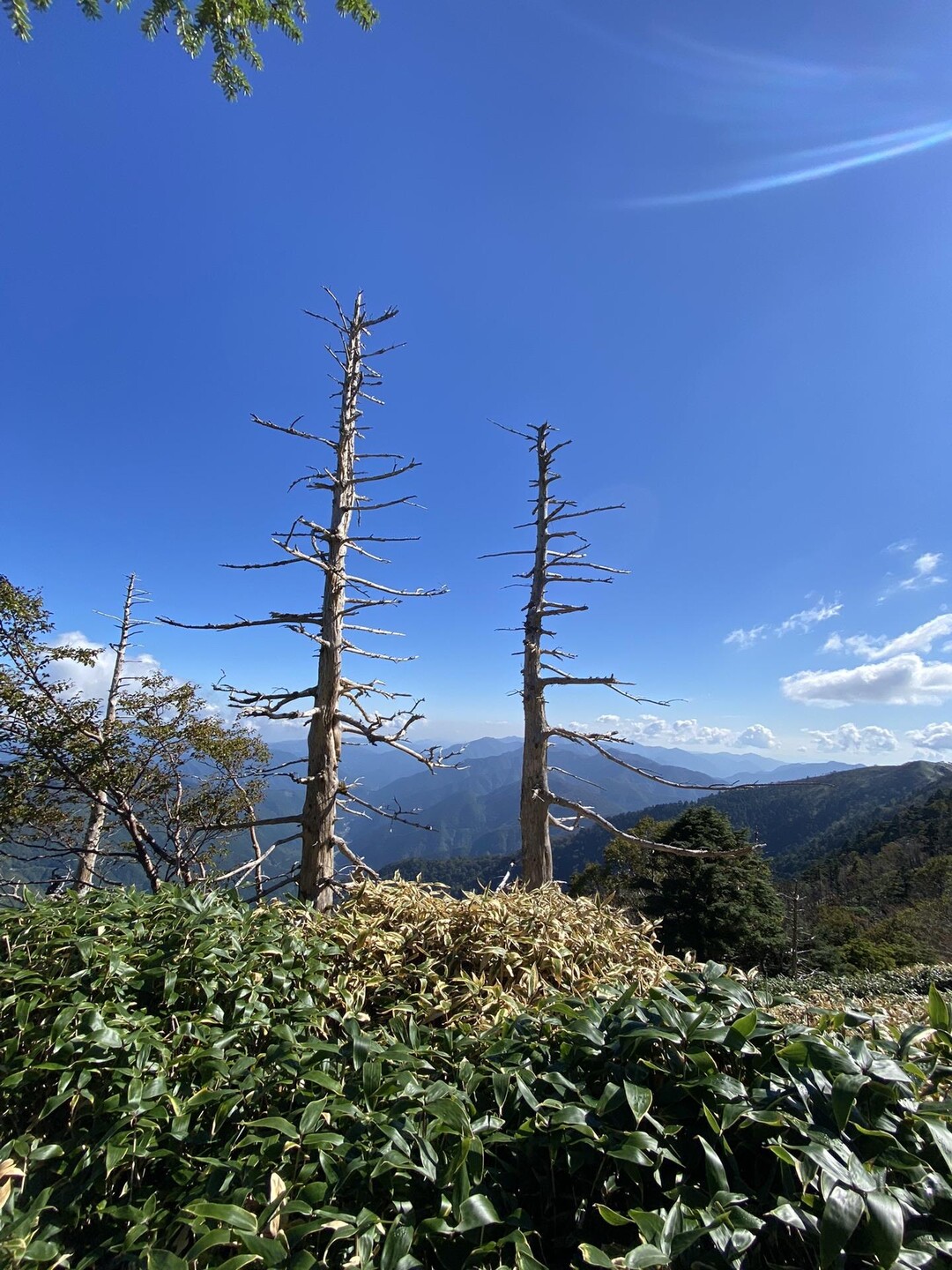 剣山・次郎笈 / Naru minさんの剣山の活動データ | YAMAP / ヤマップ