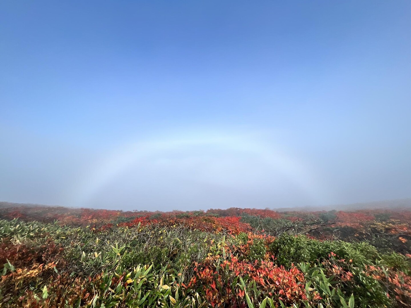 栗駒山(須川岳) / HTさんの栗駒山（須川岳）・秣岳・虚空蔵山の活動データ | YAMAP / ヤマップ