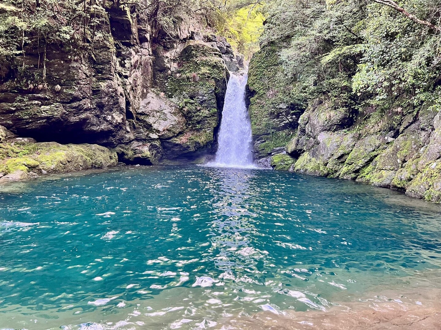 山ではなく、川で申し訳ございません。 に... / たけのこ zi ziさんのモーメント | YAMAP / ヤマップ