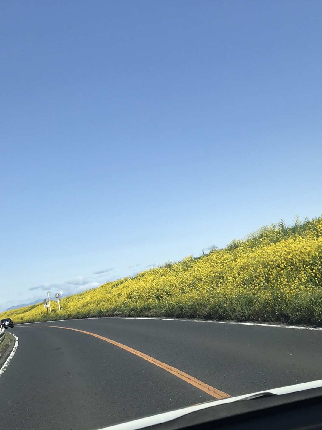 会いたかった🌸 / drankmonkeyさんの三毳山の活動データ | YAMAP / ヤマップ