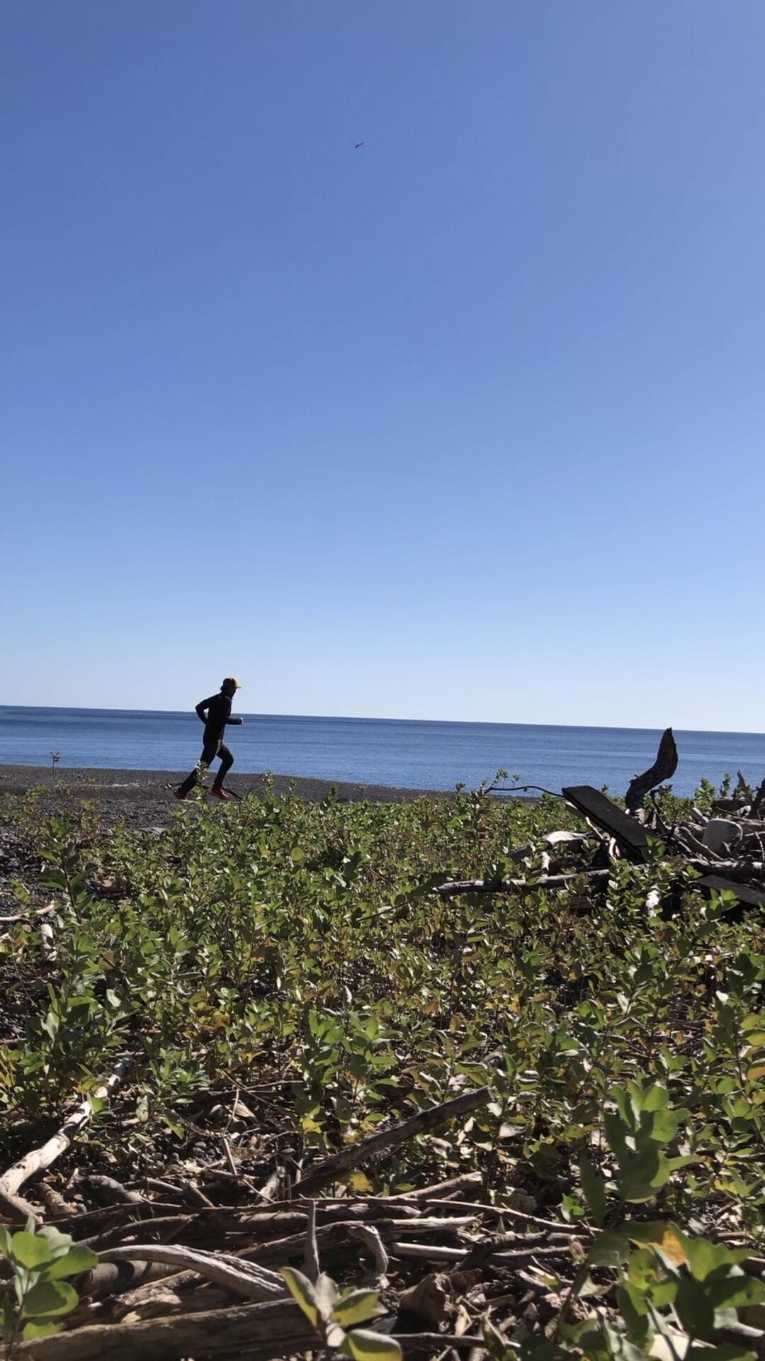 姫越山-トレーニング / kinchanさんの姫越山の活動データ | YAMAP / ヤマップ