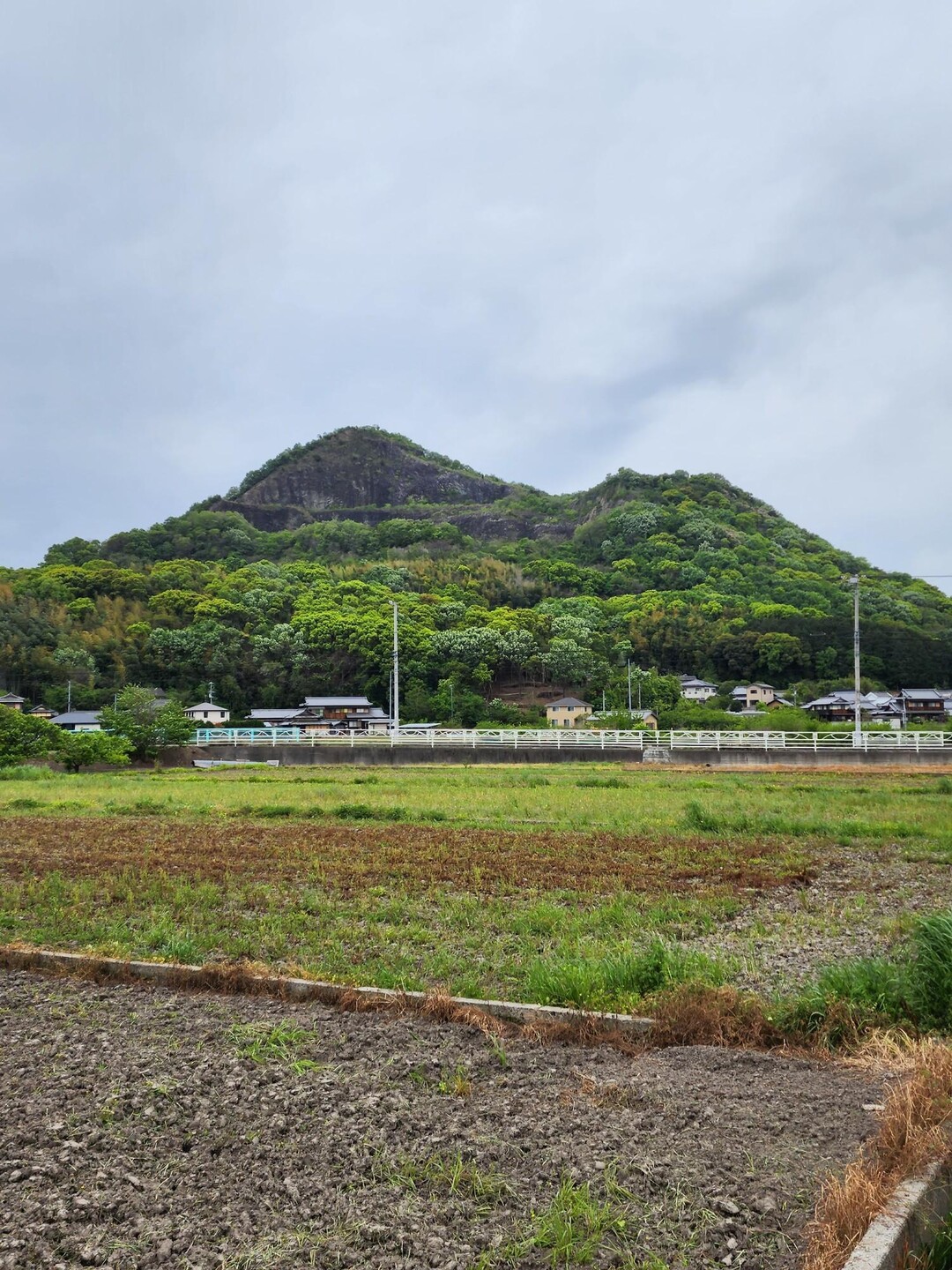 爺神山・山条山・ 葛ノ山 / ichiさんの四国遍路その19の活動データ | YAMAP / ヤマップ