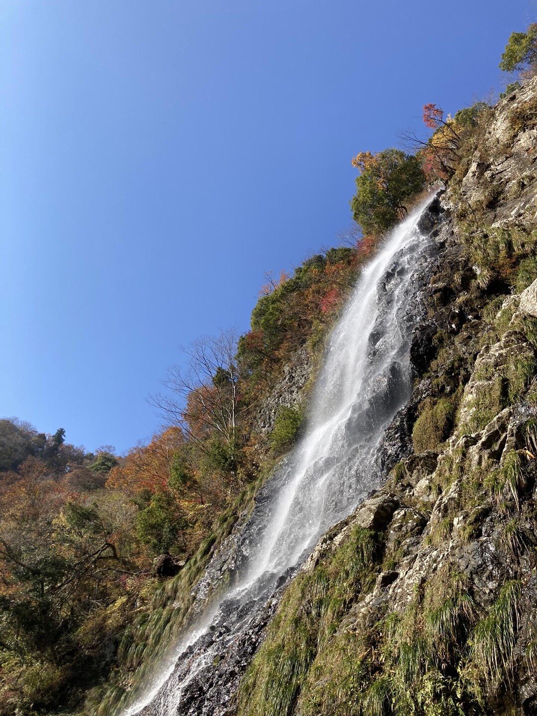 天滝トレッキング / kinuさんのウォーキングの活動データ | YAMAP / ヤマップ