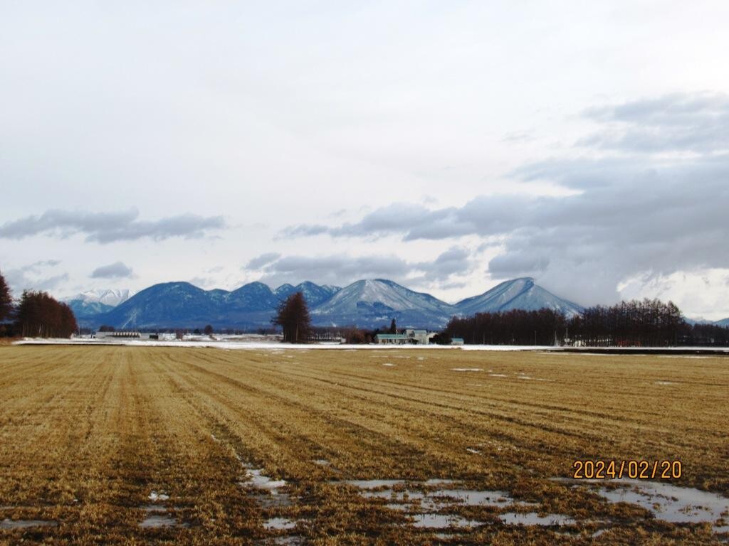 ランニング-2024-02-20 / miyaさんのランニングの活動データ | YAMAP / ヤマップ