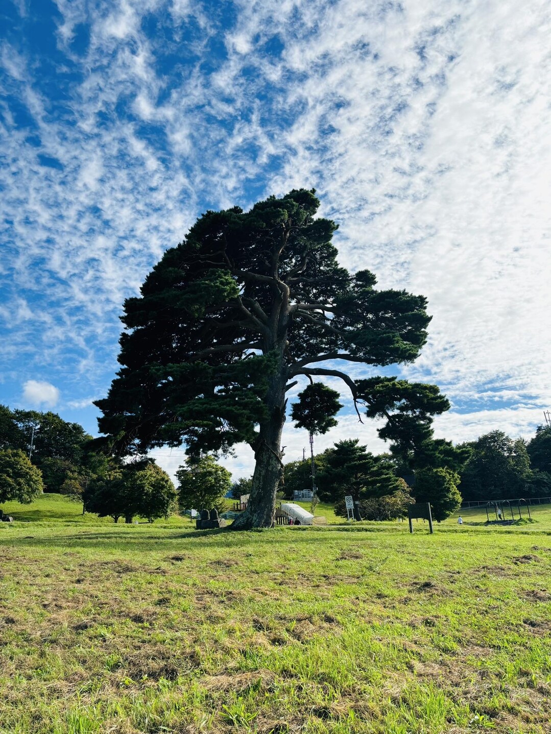 三沢山・面白山 / tsuru@meさんの面白山・神室岳・大東岳・雨呼山の活動データ | YAMAP / ヤマップ