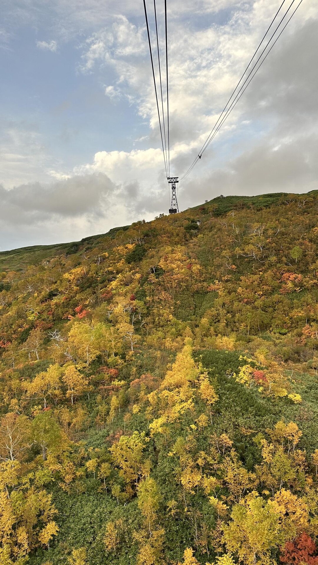 旭岳・間宮岳・中岳・北鎮岳・鋸岳・比布岳・安足間岳・当麻岳 / maaさんの大雪山系・旭岳・トムラウシの活動データ | YAMAP / ヤマップ