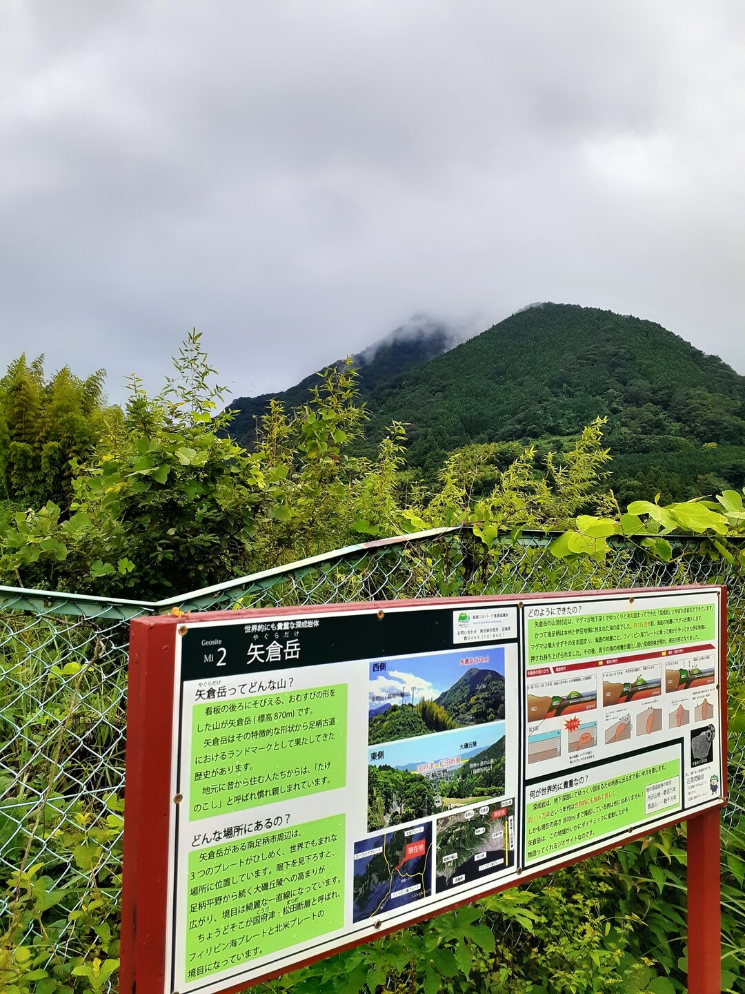 三角点探し、東山？(松田町・山北町)-2020-09-06 / ko usさんの高松山・大野山の活動データ | YAMAP / ヤマップ