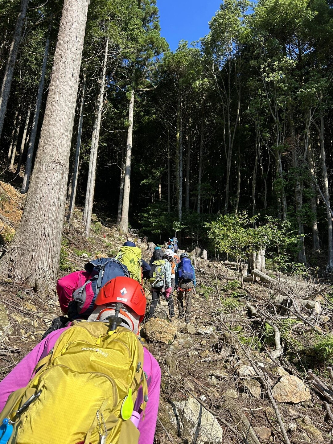 🧗ｸﾗｲﾐﾝｸﾞ講習会（京都金毘羅） / ☆miko☆さんの金毘羅山・翠黛山・焼杉山の活動データ | YAMAP / ヤマップ