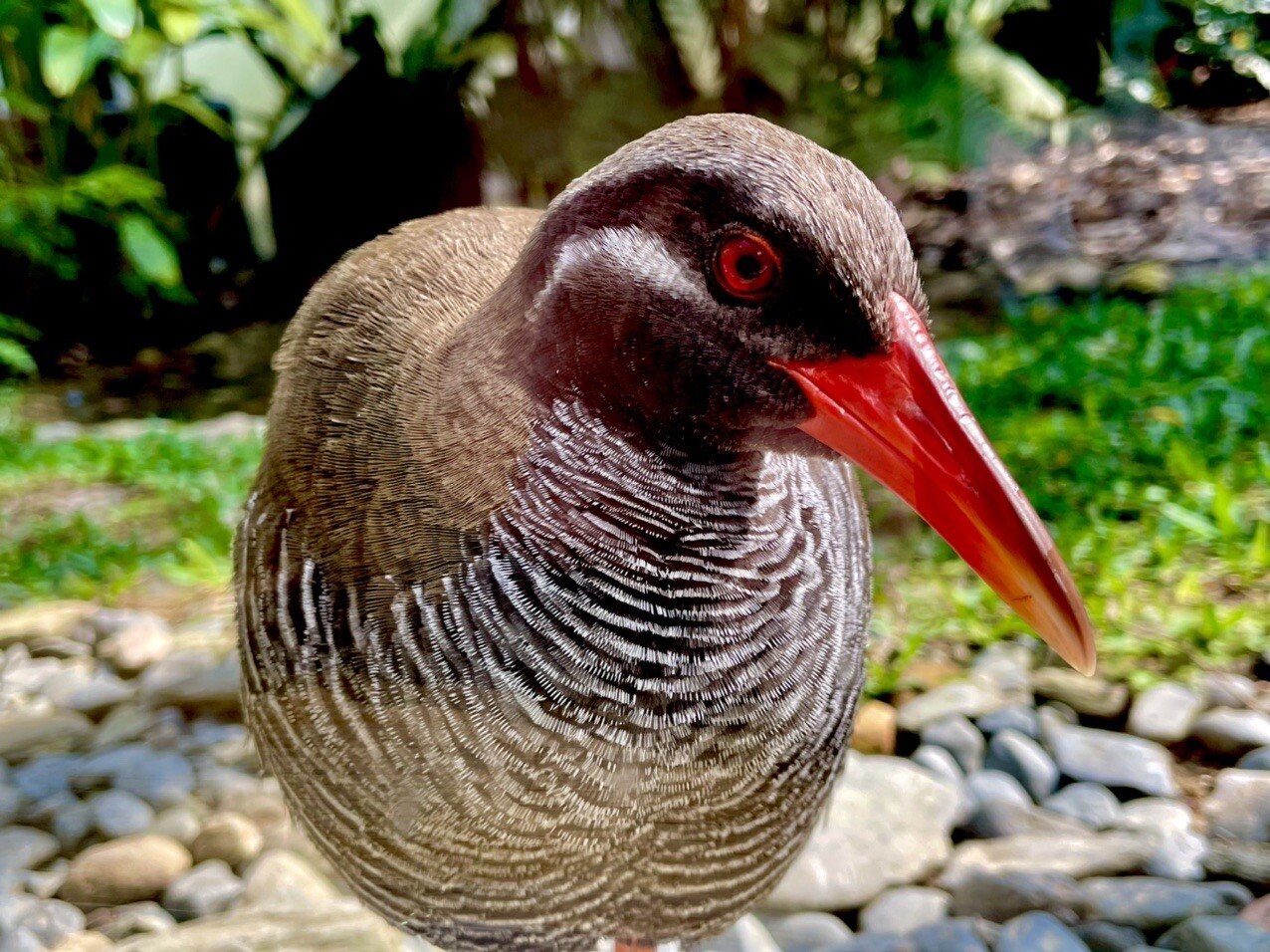 沖縄 部瀬名 Day4〜6 Day4は、... / つトムさんのモーメント | YAMAP / ヤマップ