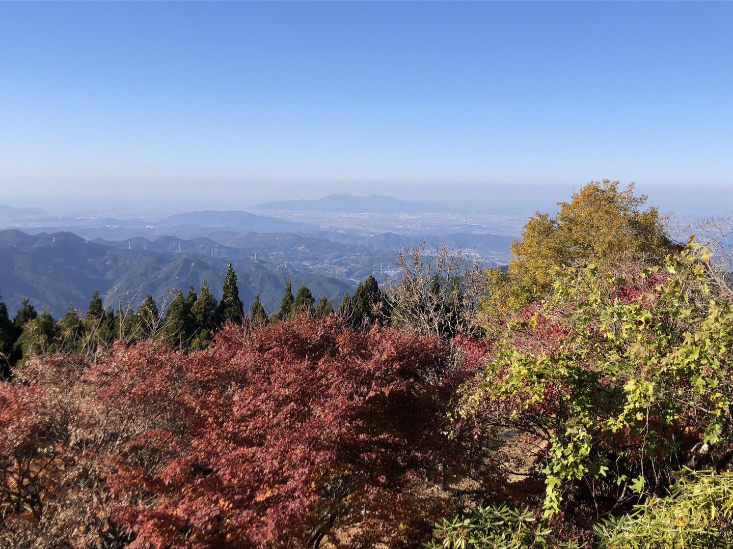 大行寺山 日本一の石段3,333段 / 獅子丸さんの大行寺山の活動データ | YAMAP / ヤマップ