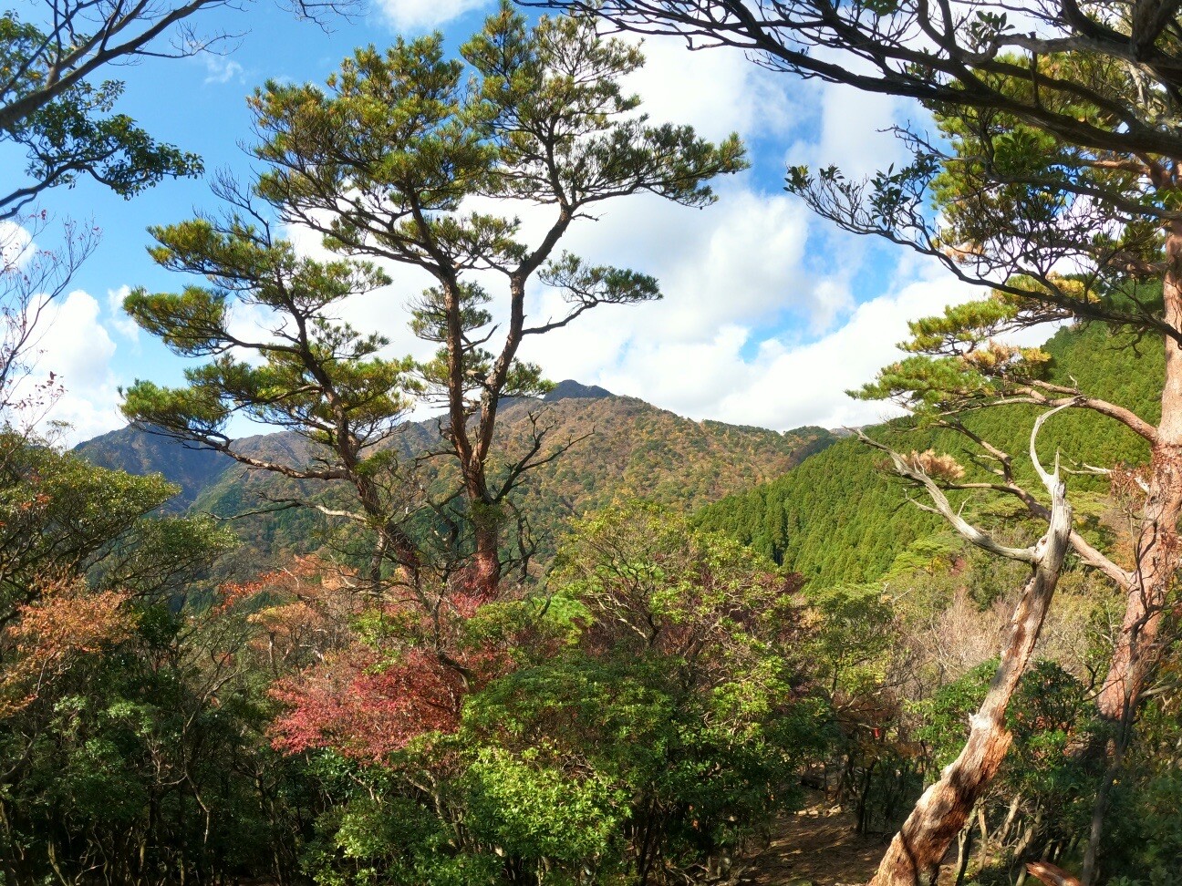 ドカベンおばさん霰に降られてインド人P791 / なるぞうさんの入道ヶ岳・鎌ヶ岳・仙ヶ岳の活動データ | YAMAP / ヤマップ